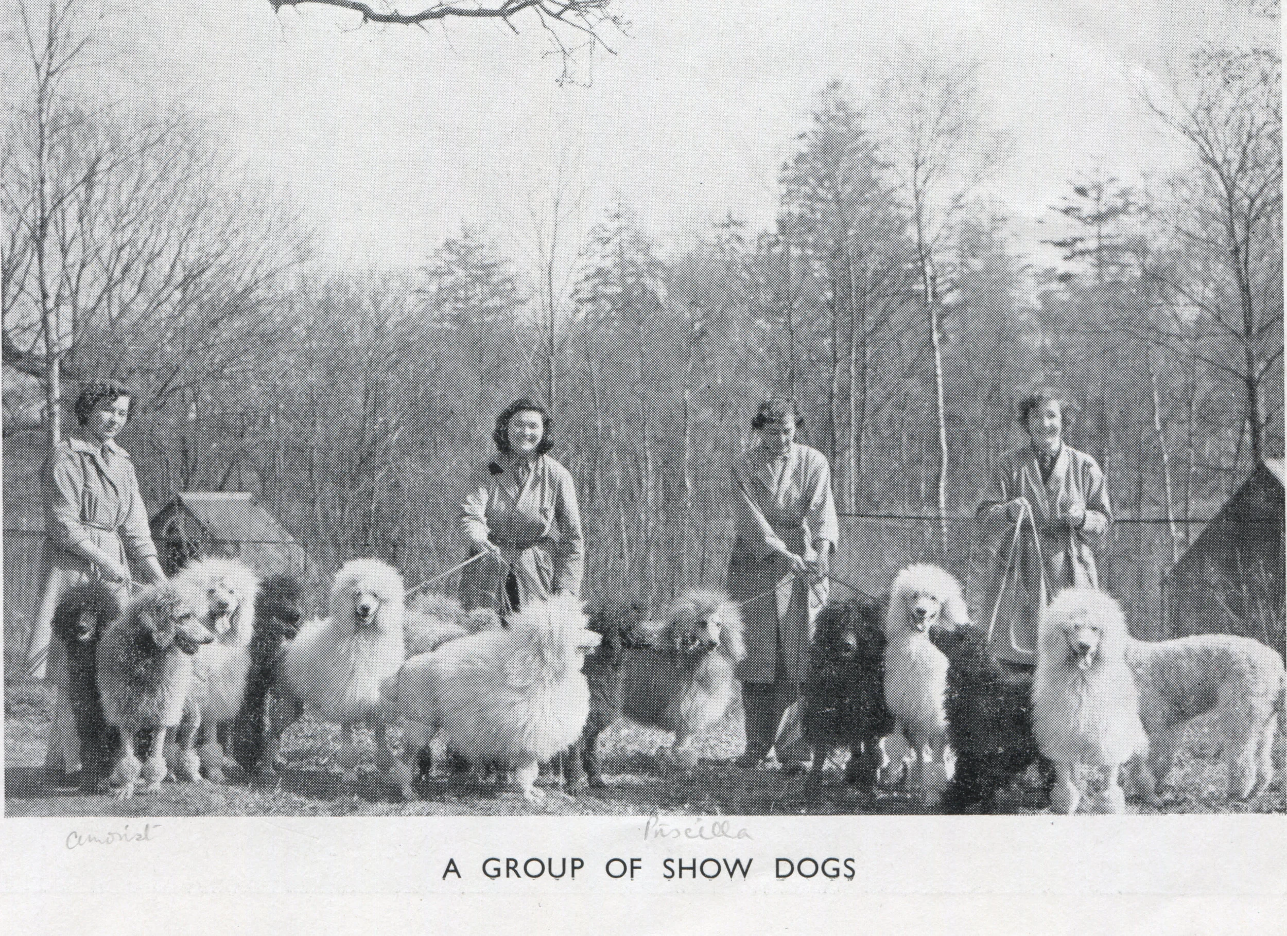 Our Story — Montagu Matysik