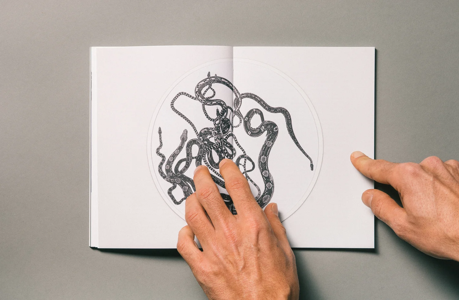 Artists in Multifunctions — Studio Elastik