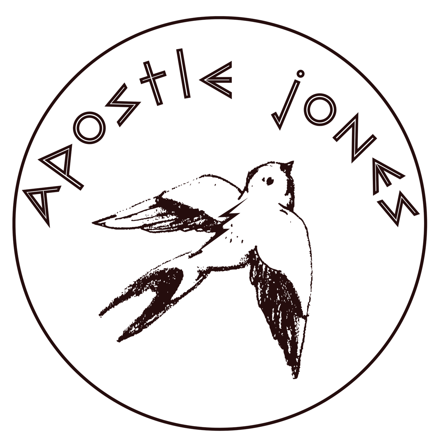 MEDIA KIT — APOSTLE JONES