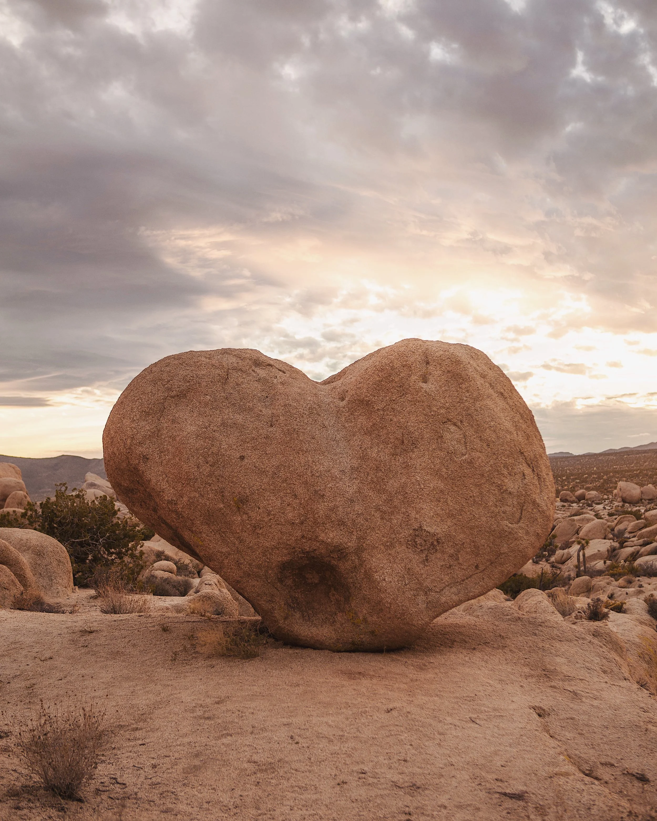 heartrock — The Cohost Company: Joshua Tree