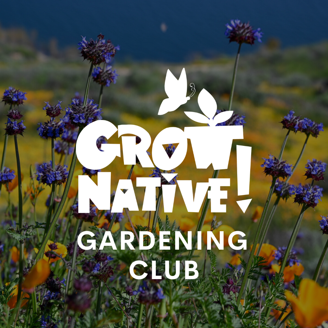 Grow Native! — Friends of Ballona Wetlands
