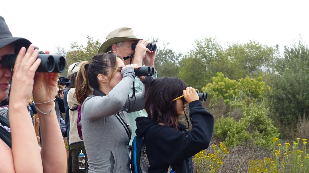 Beginner Birding Tour — Friends of Ballona Wetlands