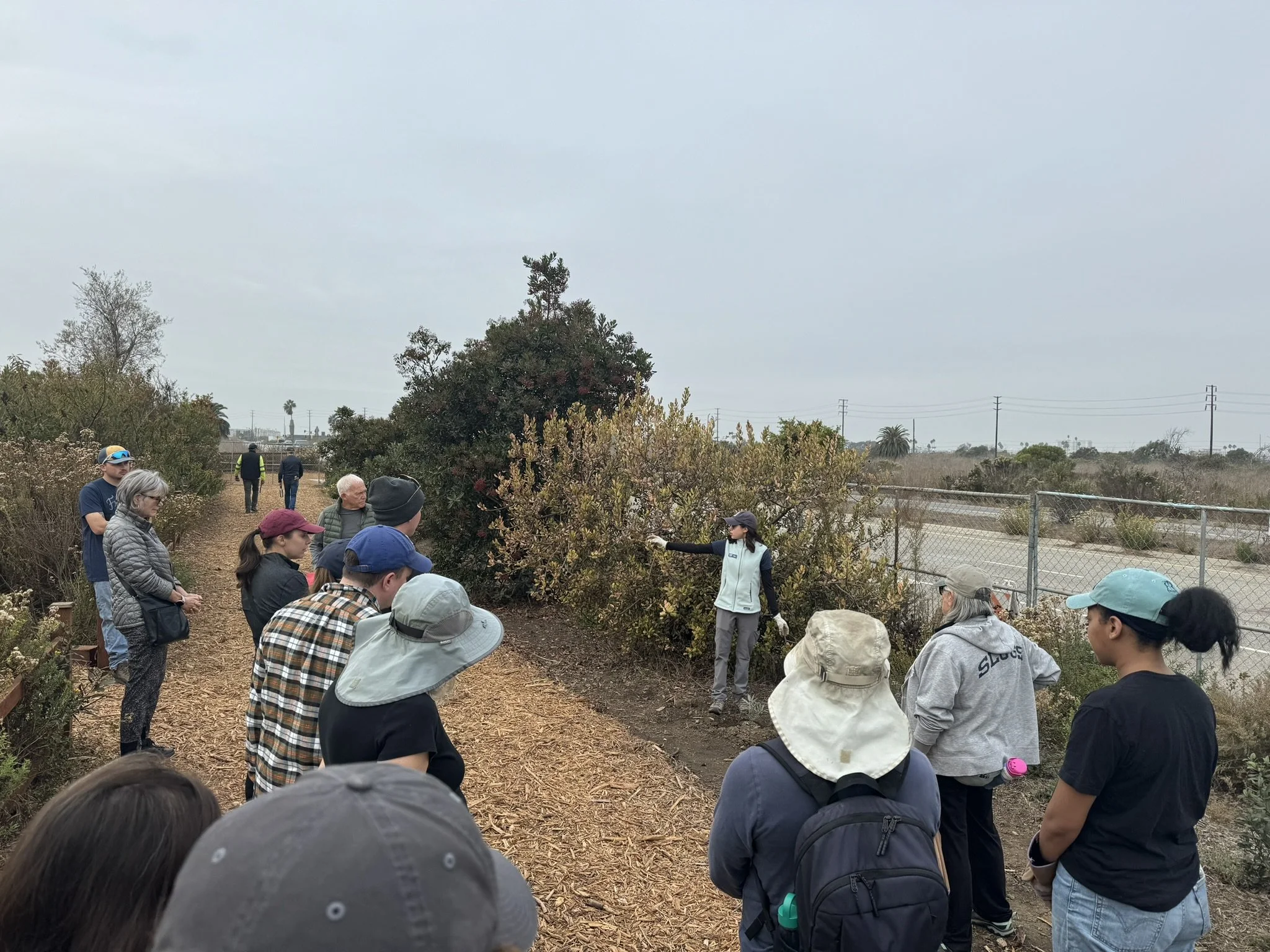 Personal Restoration Through Habitat Restoration: Mina Bedogne's ...