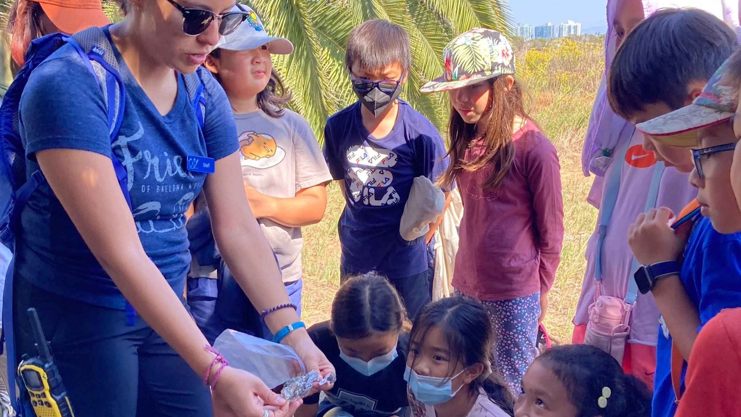 Internships — Friends of Ballona Wetlands