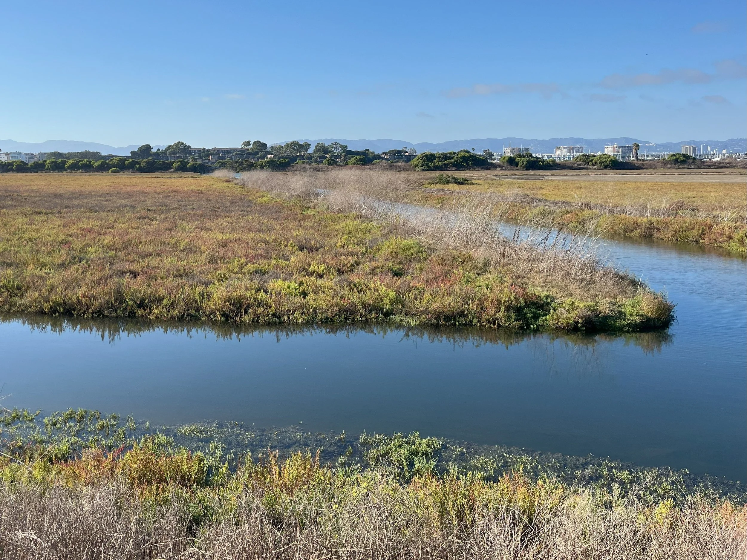 The Ballona Climate Connection — Friends of Ballona Wetlands