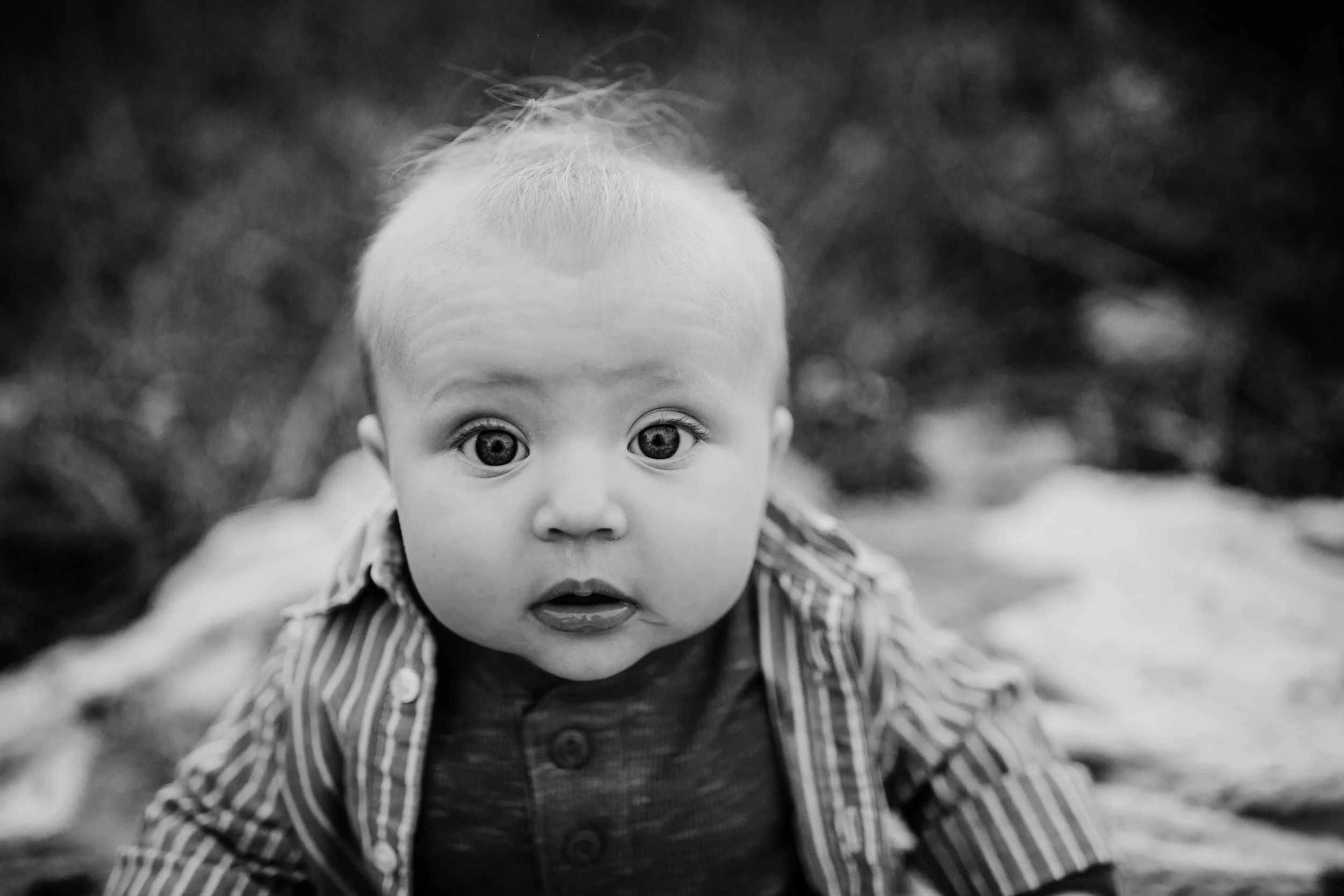 Sandra Houseman's Instagram, Twitter & Facebook on IDCrawl