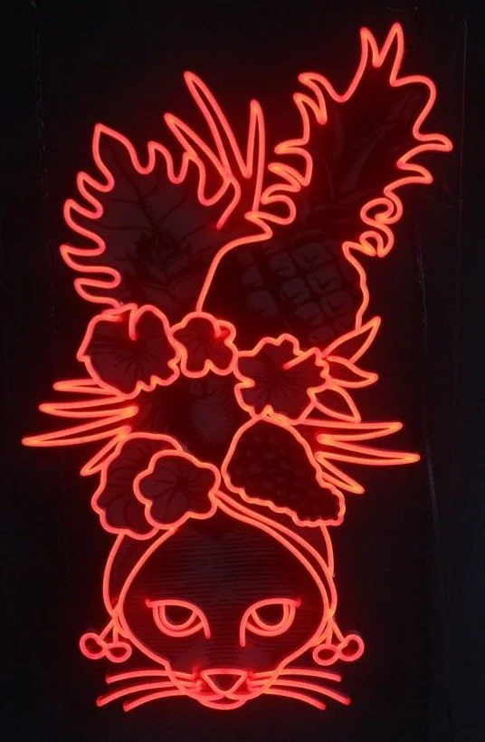 Custom LED Neon Flex Signs | Denver LED Direct