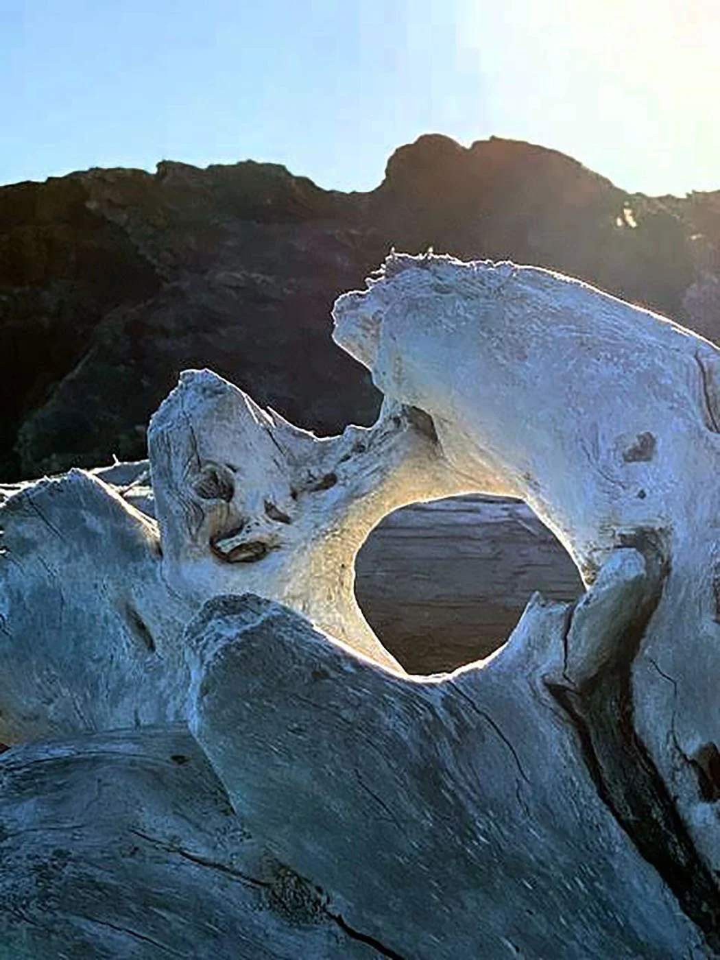 Nancy and Lewis Spaulding — San Juan Island Artists' Studio Tour