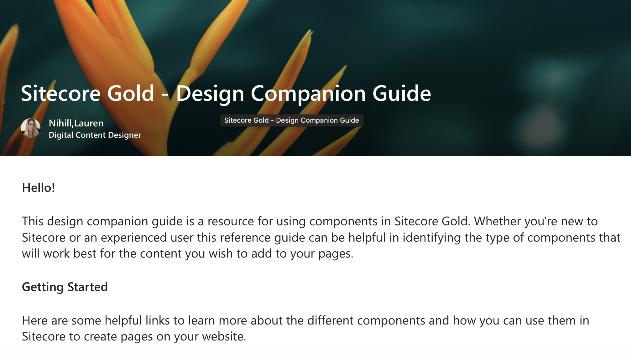 sitecore design component guide — Lauren Nihill