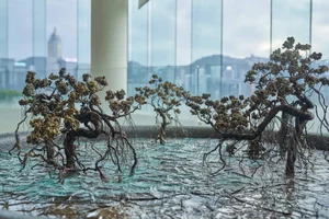 Getting to Know Chi Wing Lo — Design Anthology