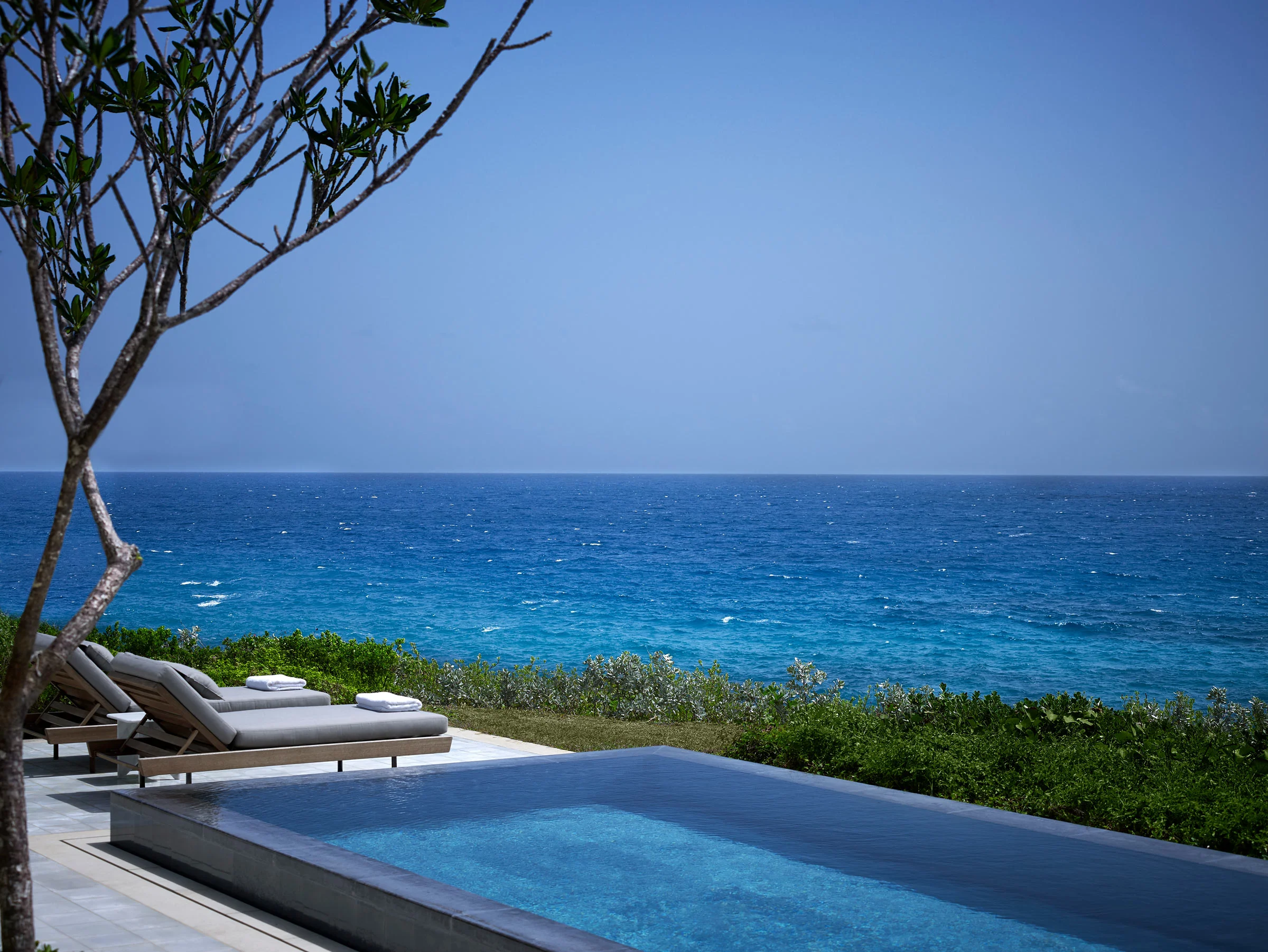 Amanera — Design Anthology