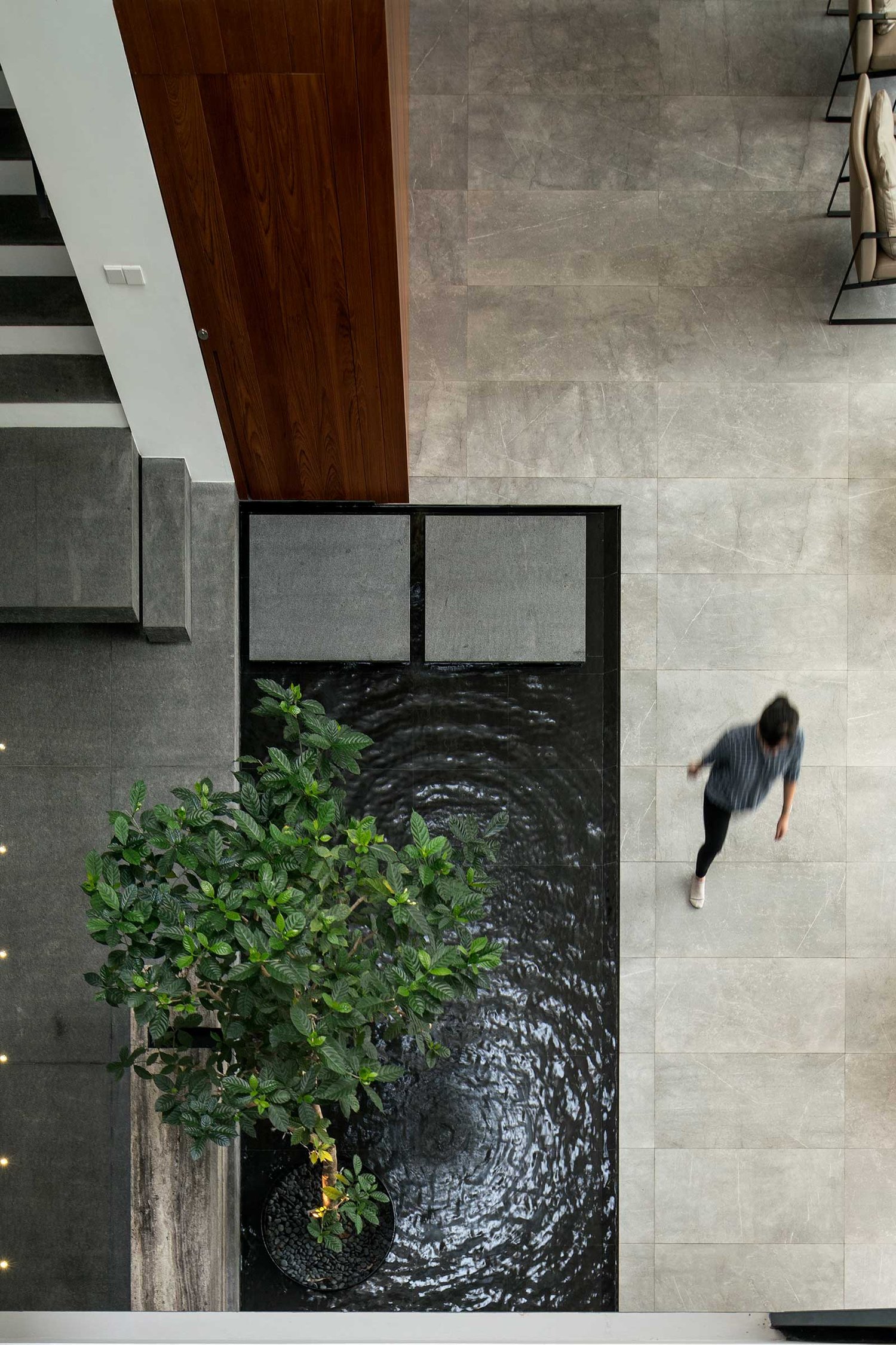 Tropical Minimalism — Design Anthology