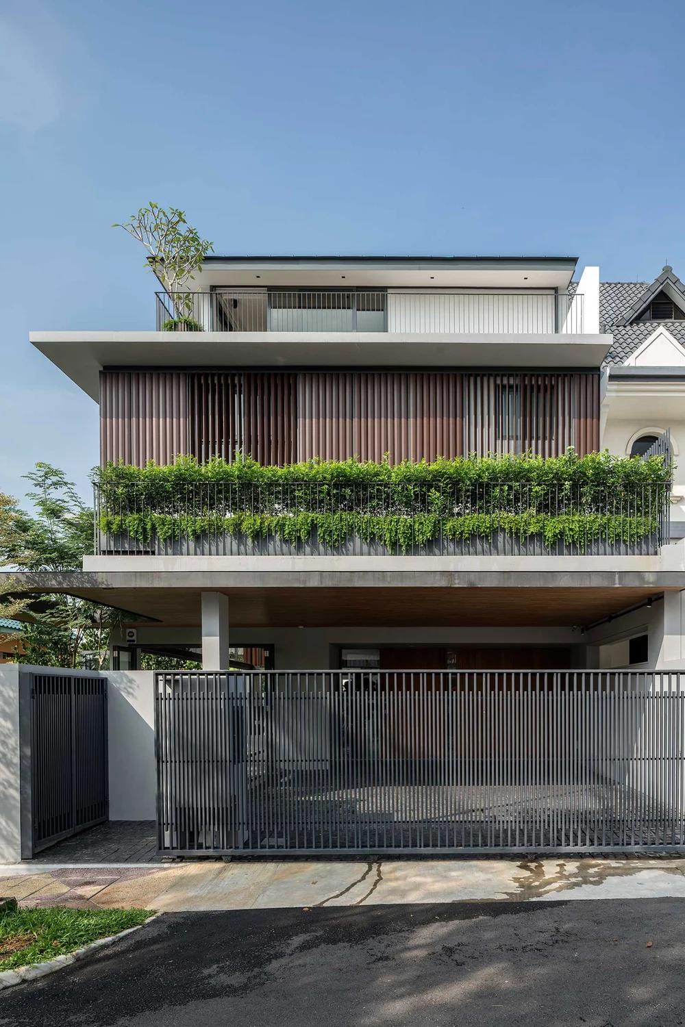 Tropical Minimalism — Design Anthology