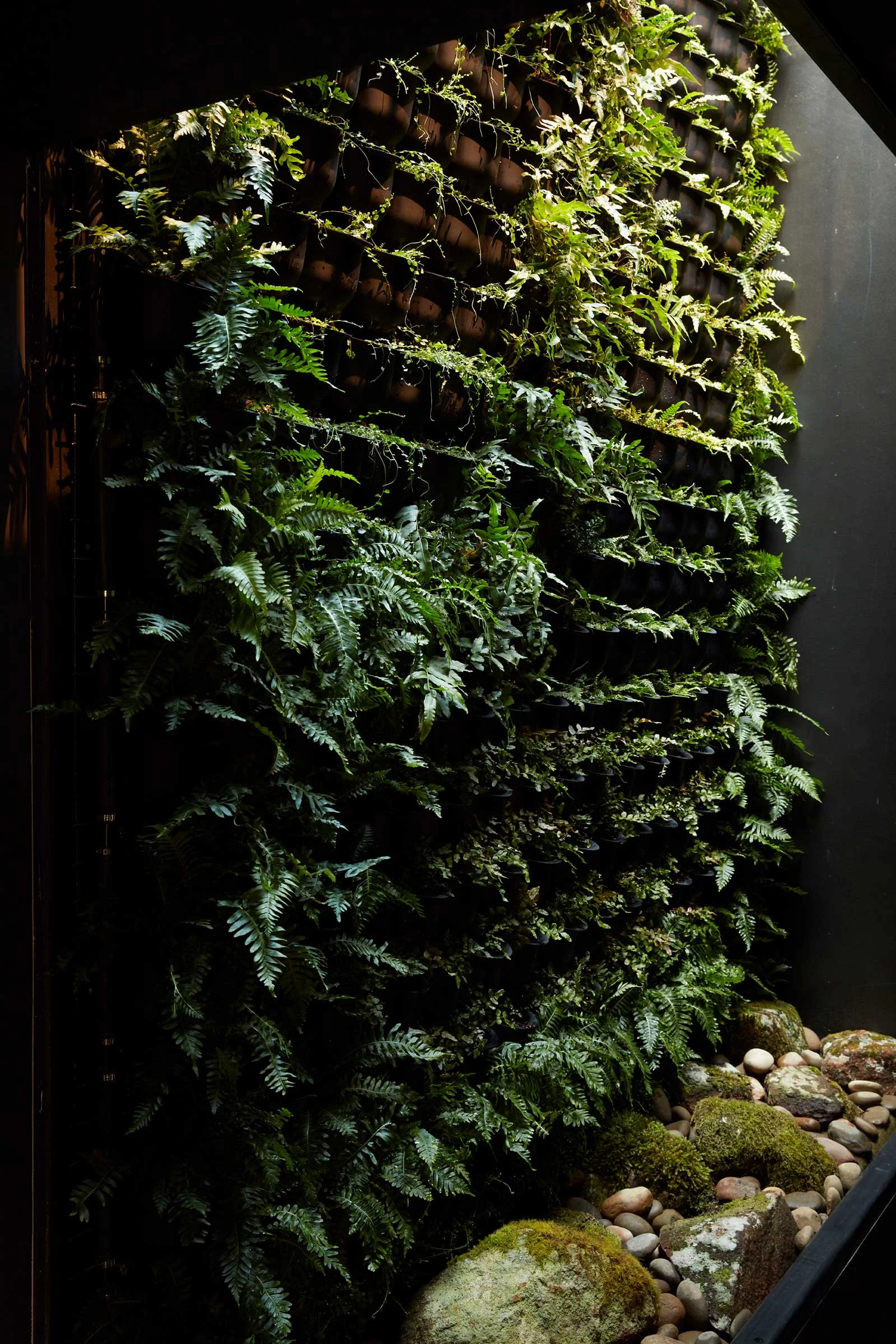 Boutique Hotel Moss Opens in Hobart — Design Anthology