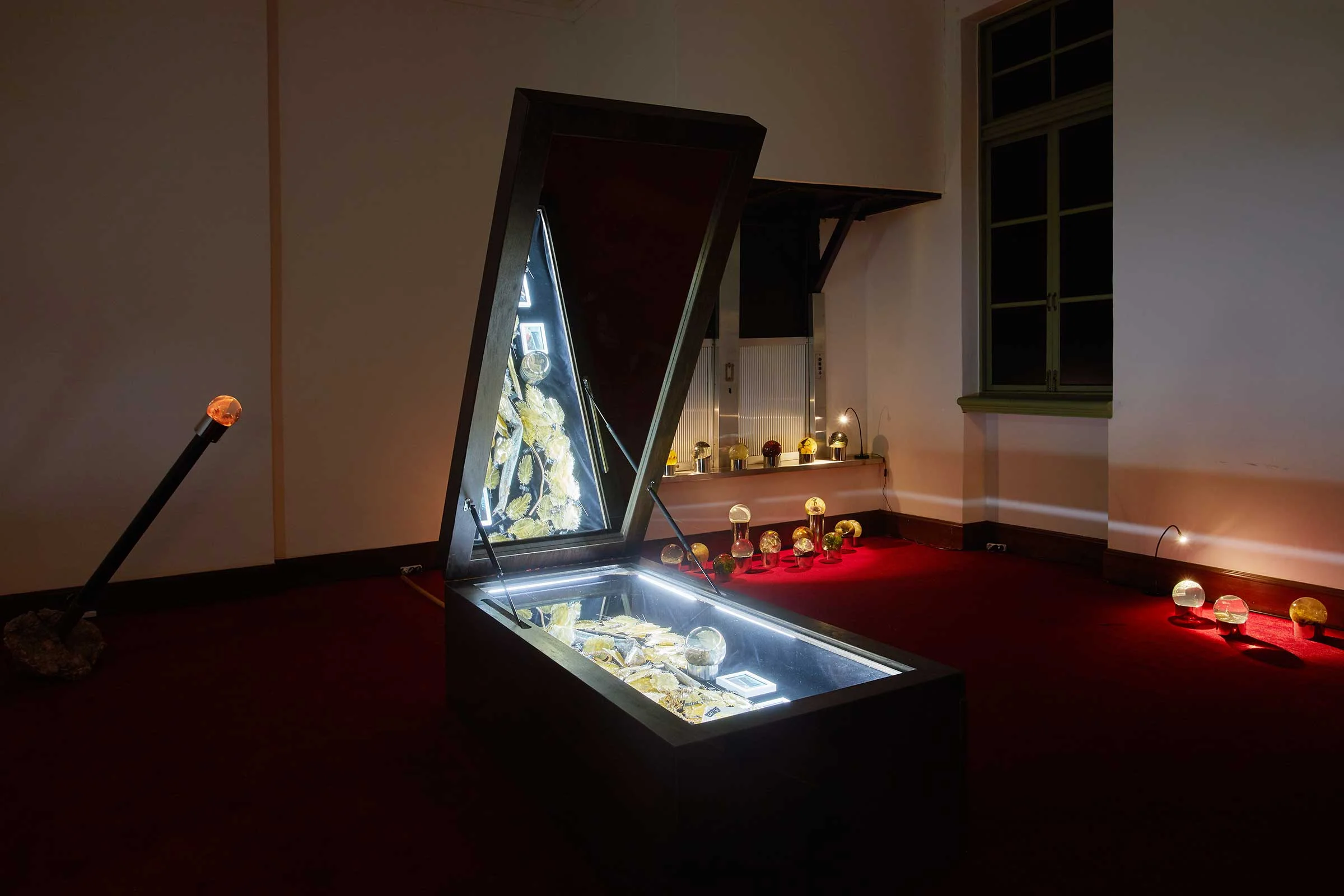 The Real DMZ Project: Negotiating Borders — Design Anthology