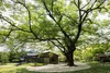 Inside Kengo Kuma’s Water Cherry Villa on the Japanese Coast — Design ...