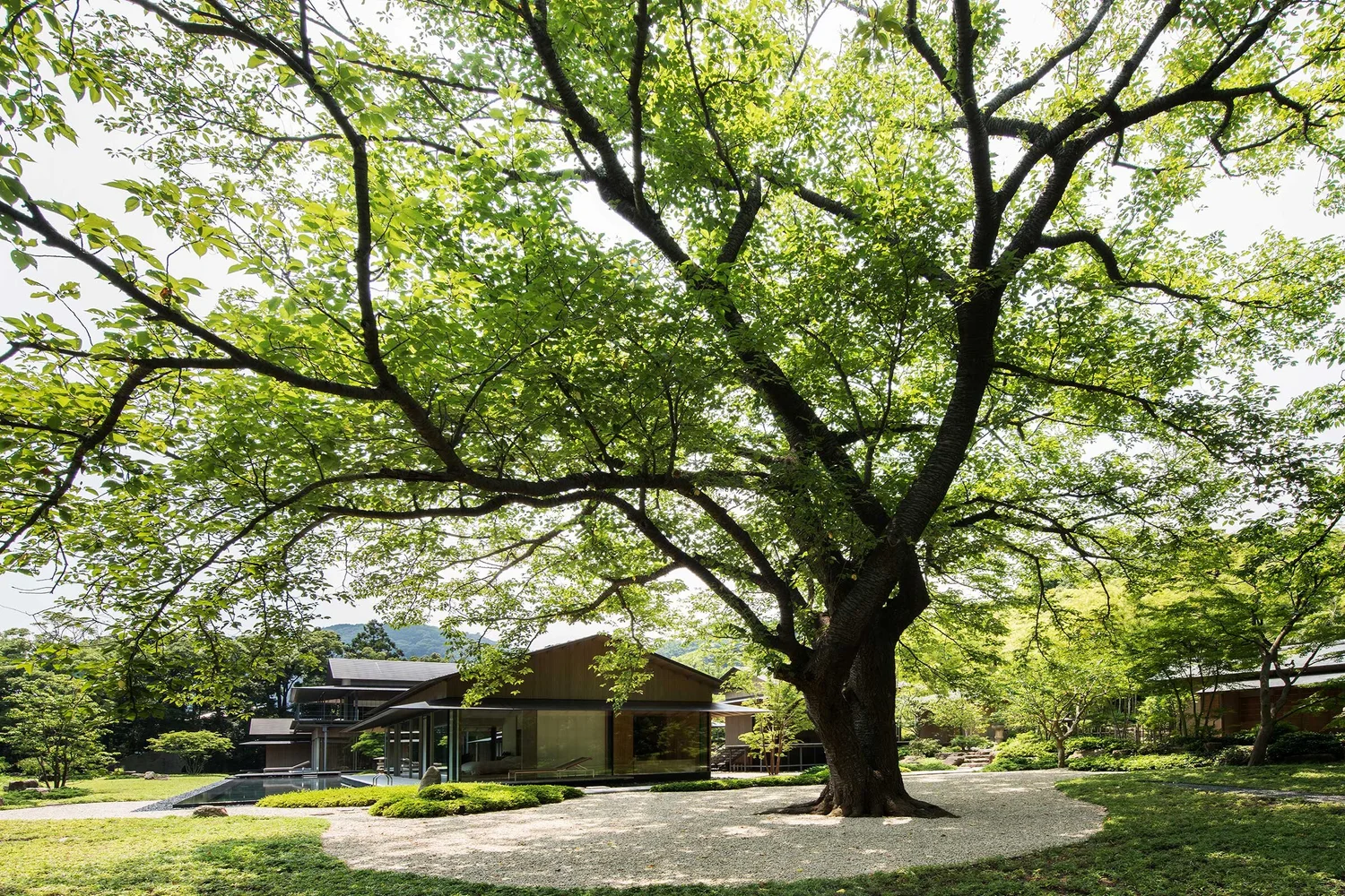 Inside Kengo Kuma’s Water Cherry Villa on the Japanese Coast — Design ...