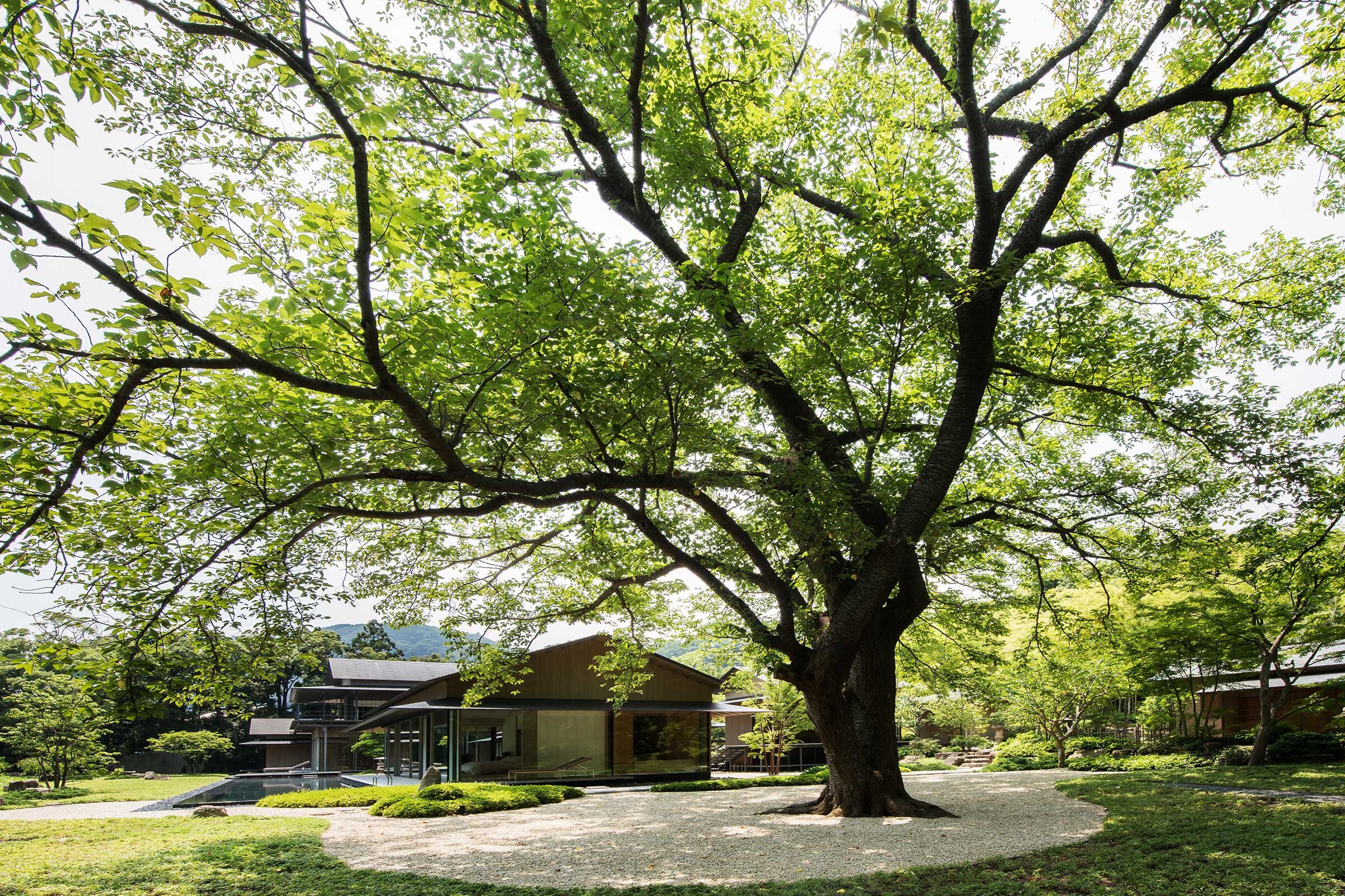 Inside Kengo Kuma’s Water Cherry Villa on the Japanese Coast — Design ...
