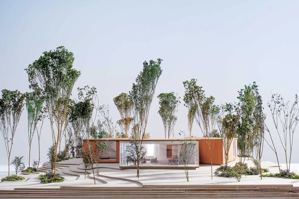 Tsuyoshi Tane, Architect-Archaeologist — Design Anthology