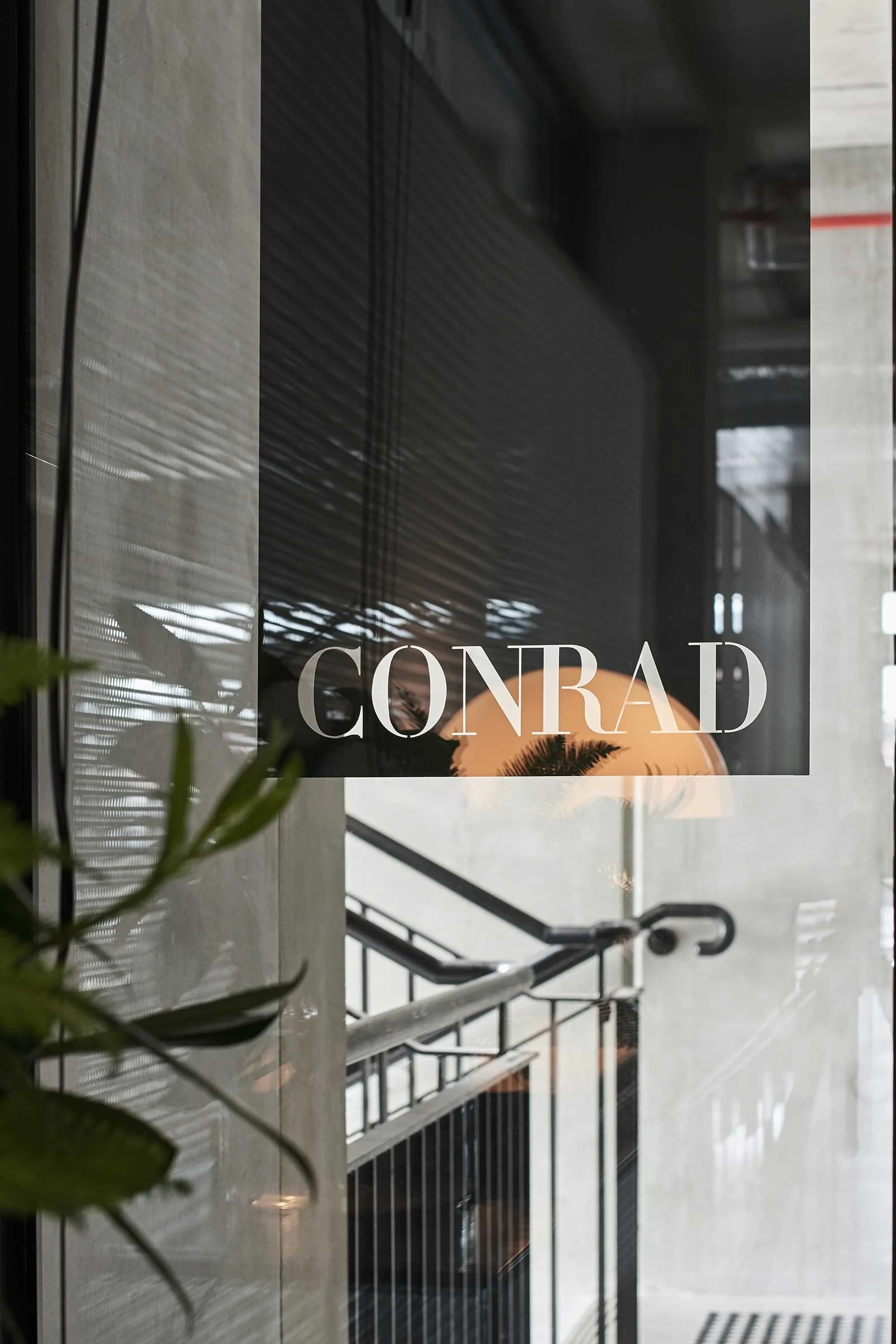 Paul Conrad: Working in the Grey — Design Anthology