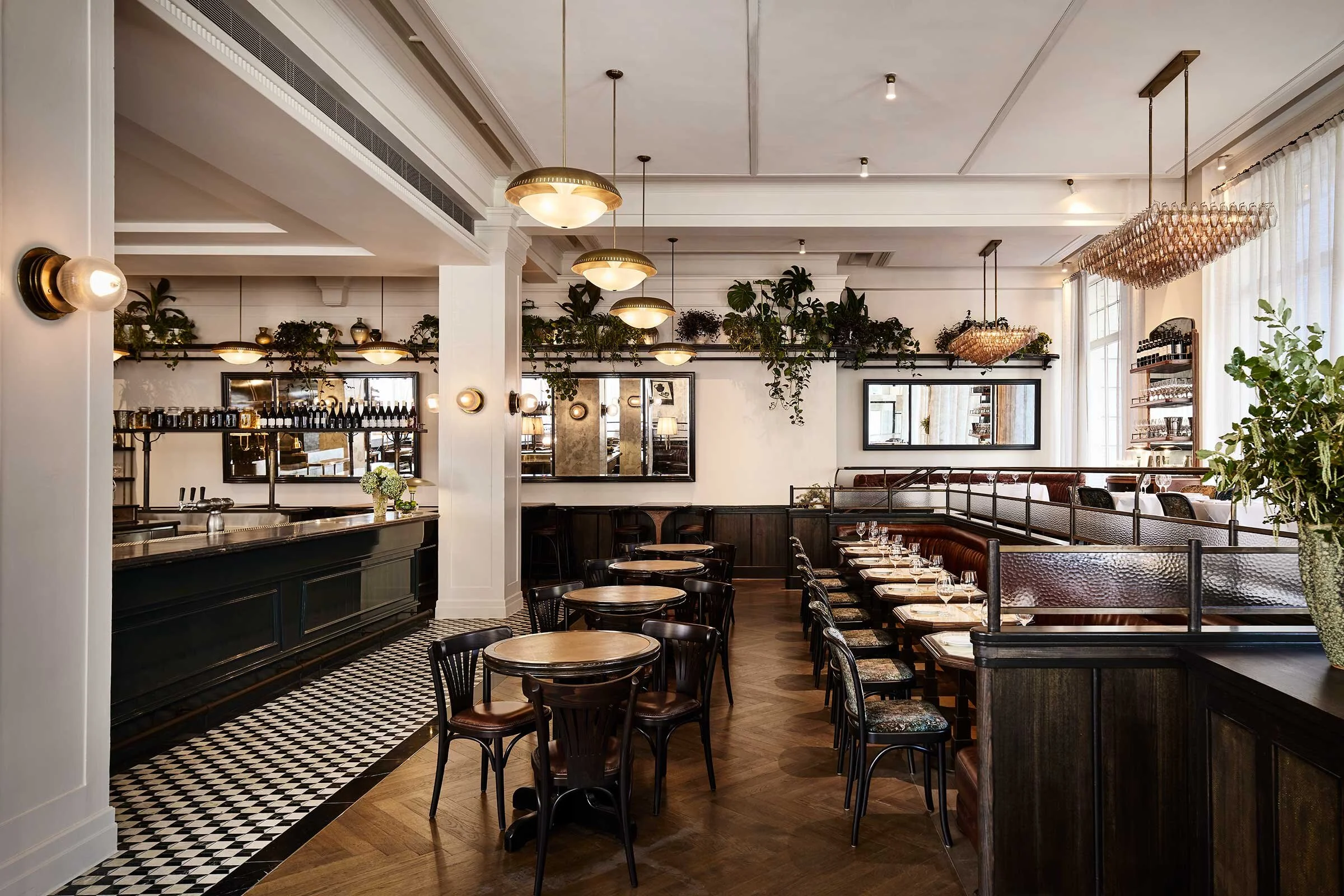 Grand Old Gimlet — Design Anthology