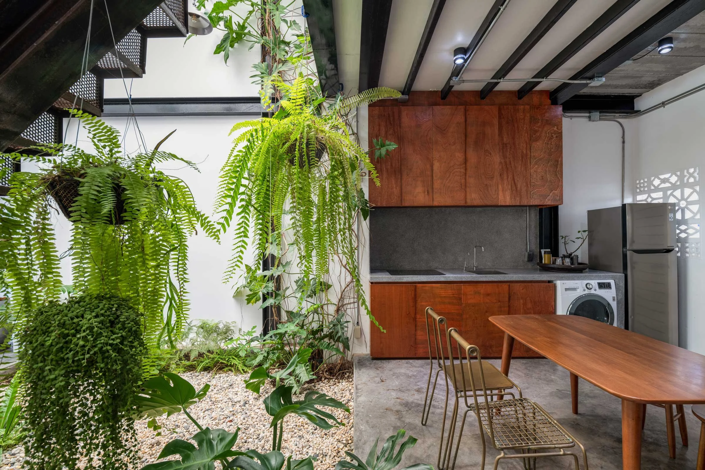 A Young Homeowner’s Tropical Dream — Design Anthology