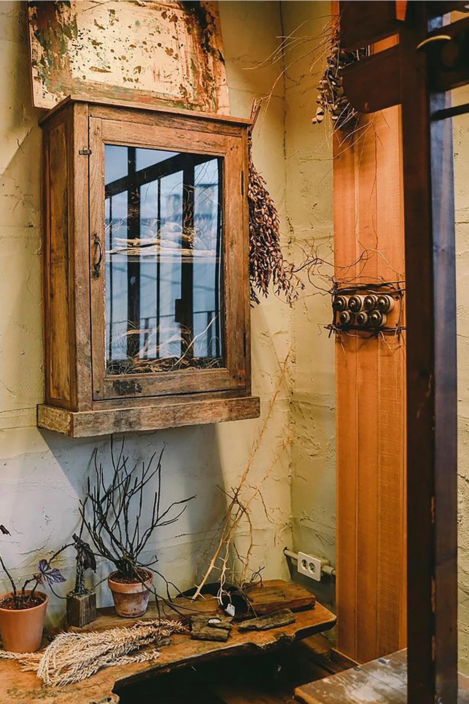 Green Nomad is Natural by Design — Design Anthology