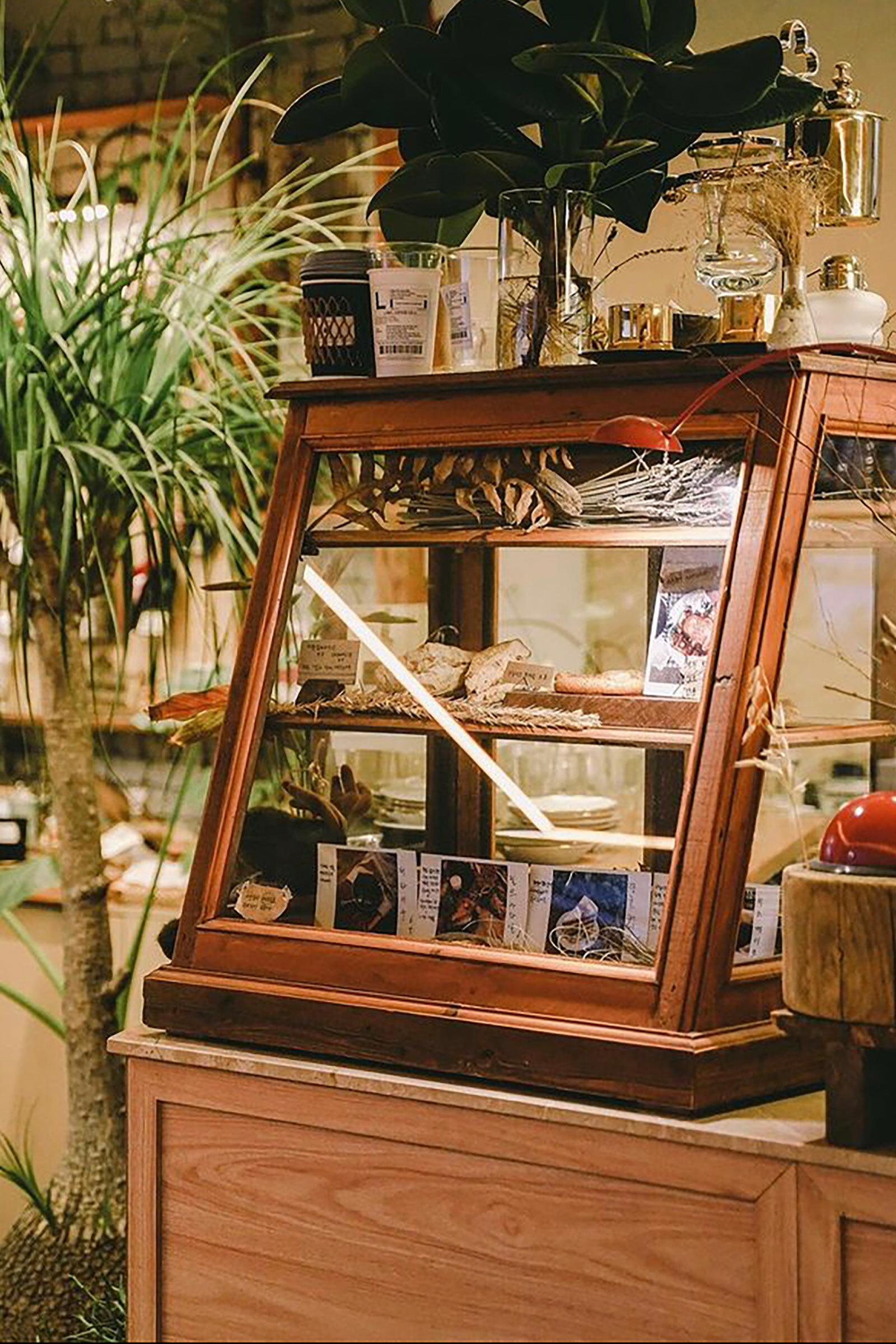 Green Nomad is Natural by Design — Design Anthology