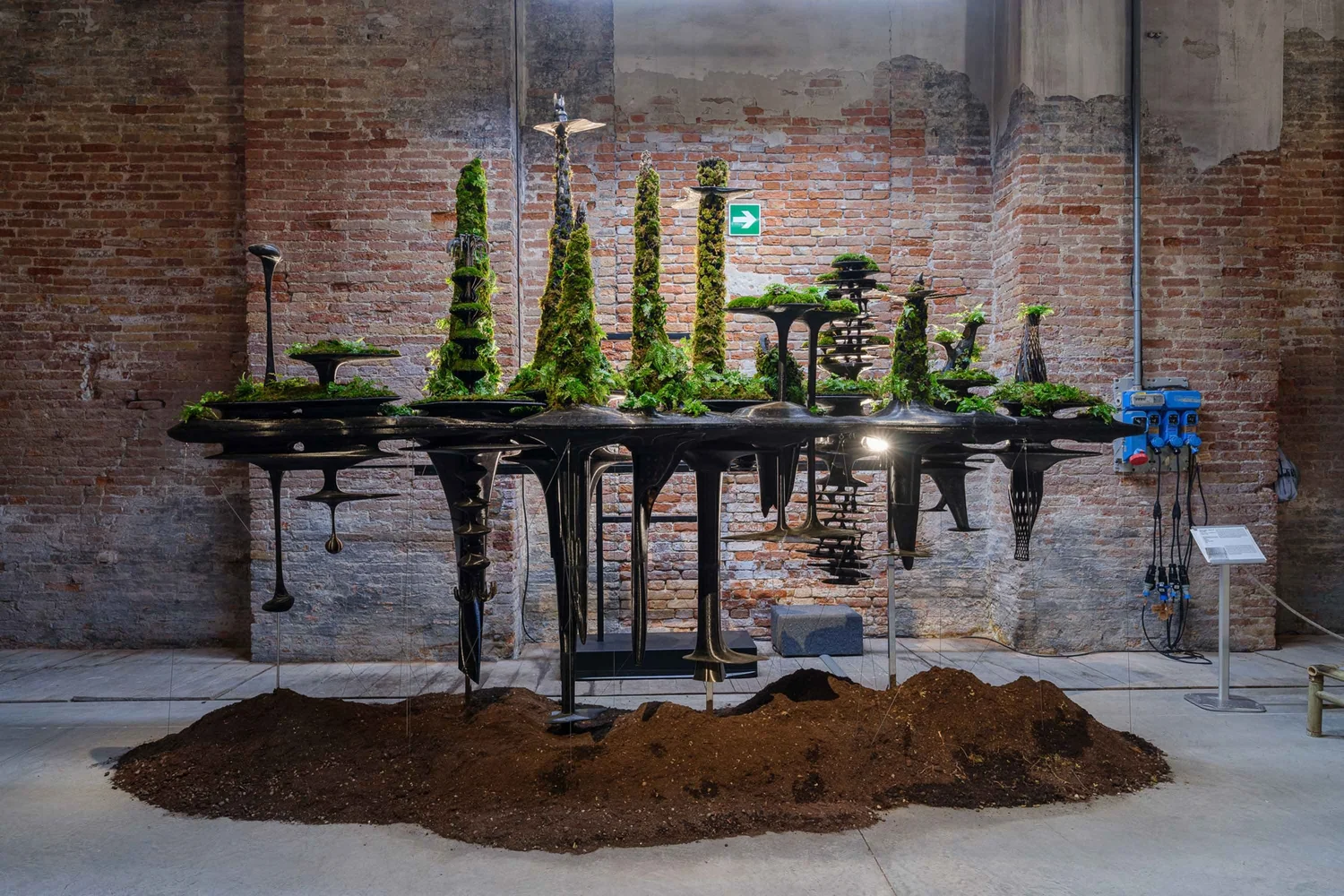 Asia in Venice: Mapping Asia’s Presence at the Venice Architecture ...