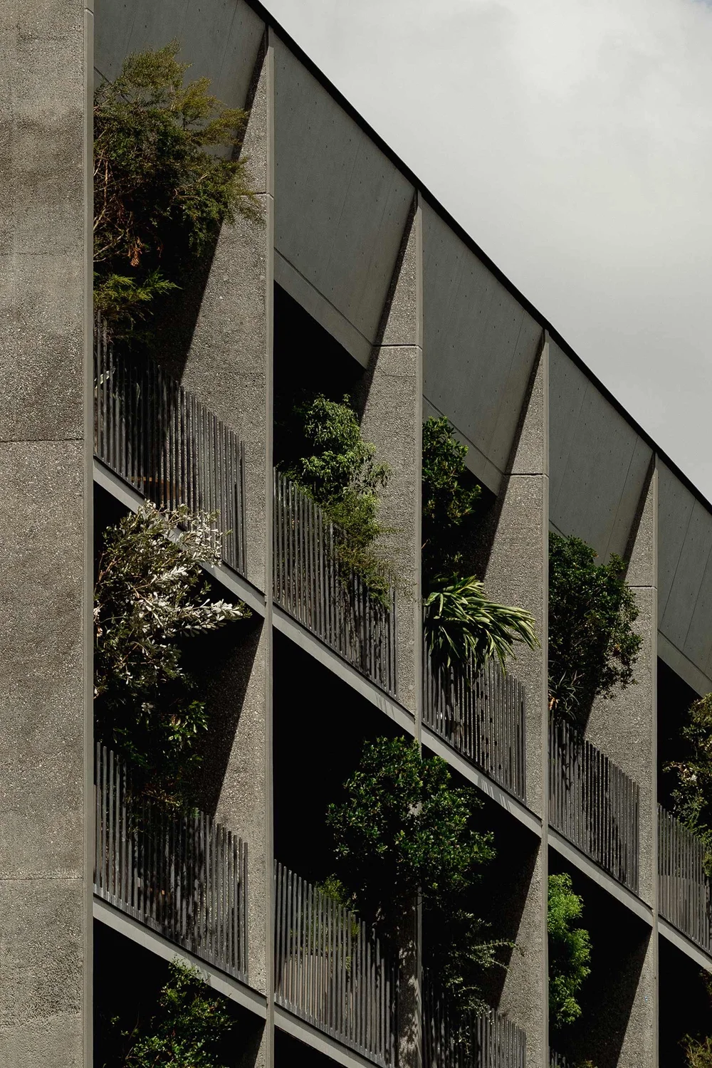 TRUNK Tomigaya Brings Nature to the City — Design Anthology