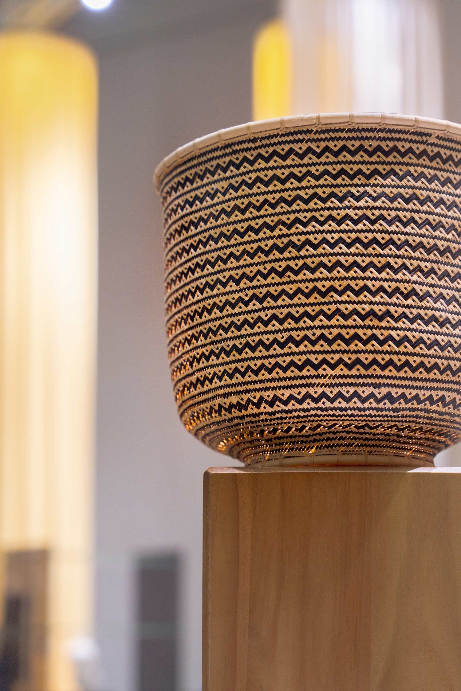 Distinct Voices, Shared Language — Design Anthology