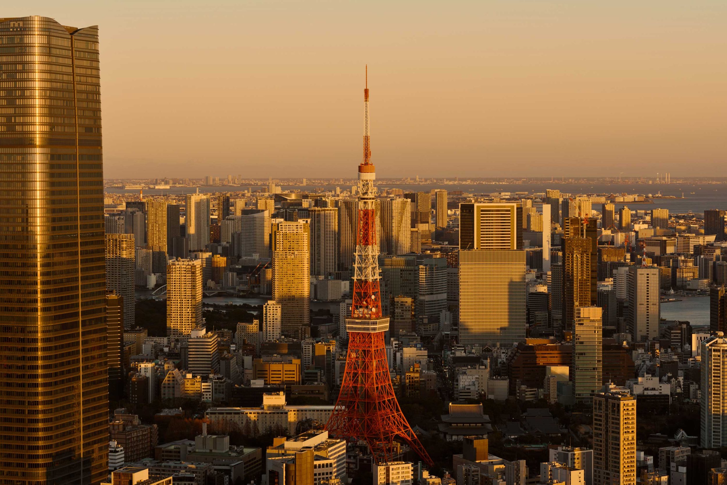 The Designer’s Guide to Tokyo | Discover Tokyo Design Tours — Design ...