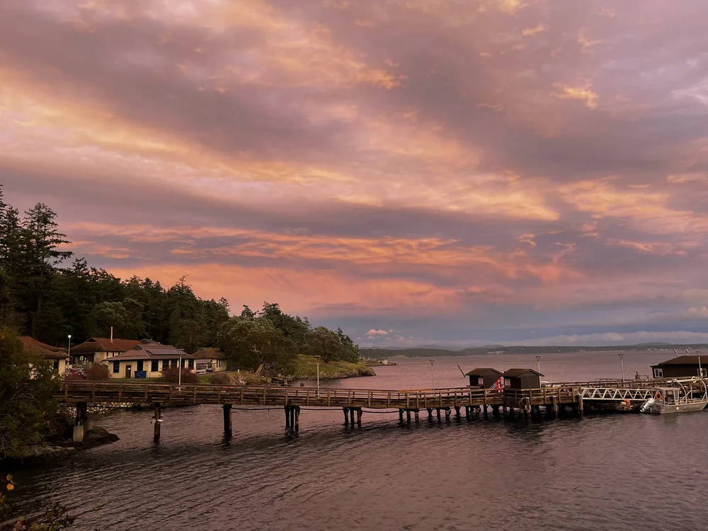 Life at Friday Harbor Labs — FIELDNOTES