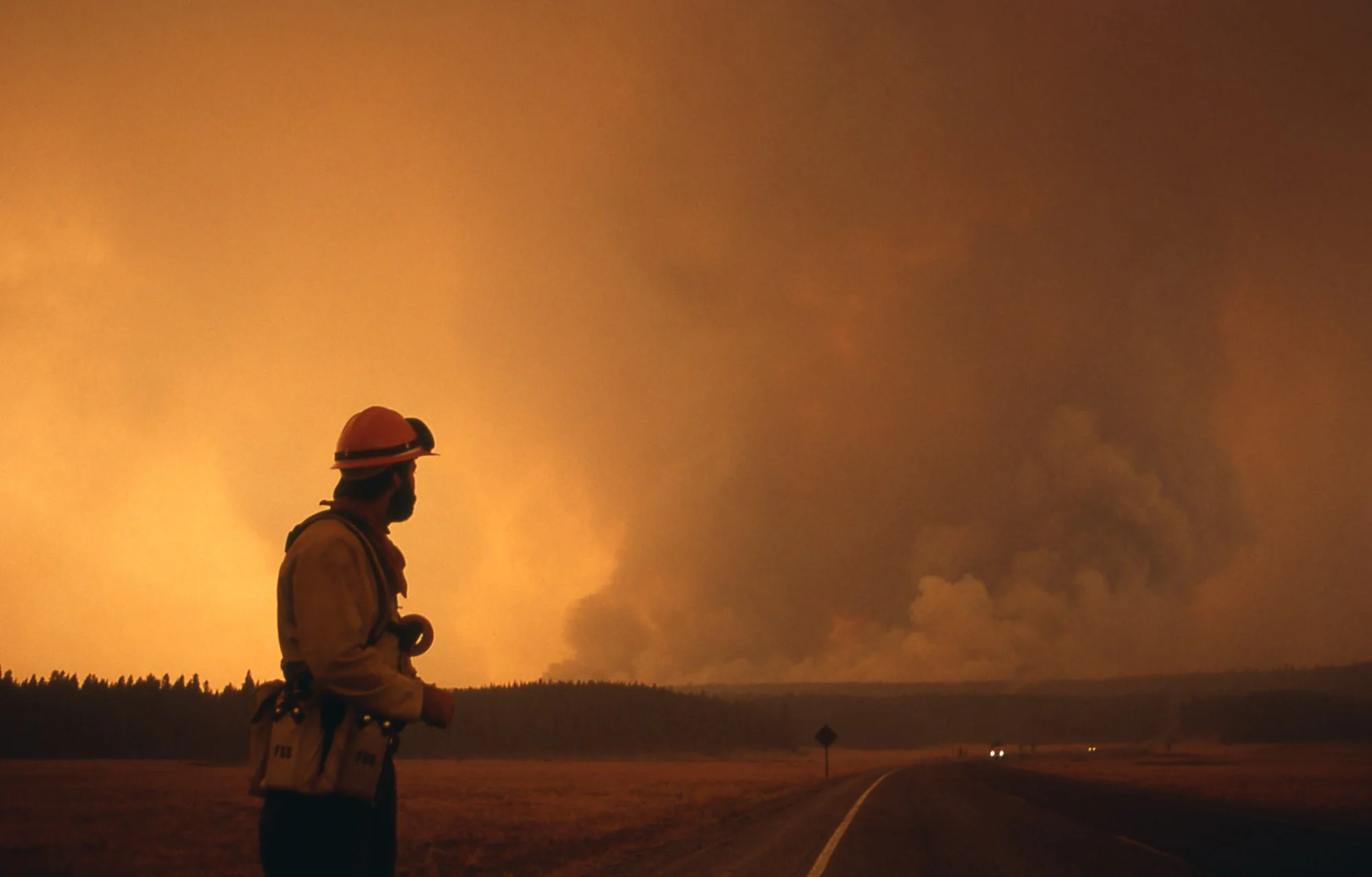 From Ashes to Life: Lessons from the Yellowstone Fire — FIELDNOTES