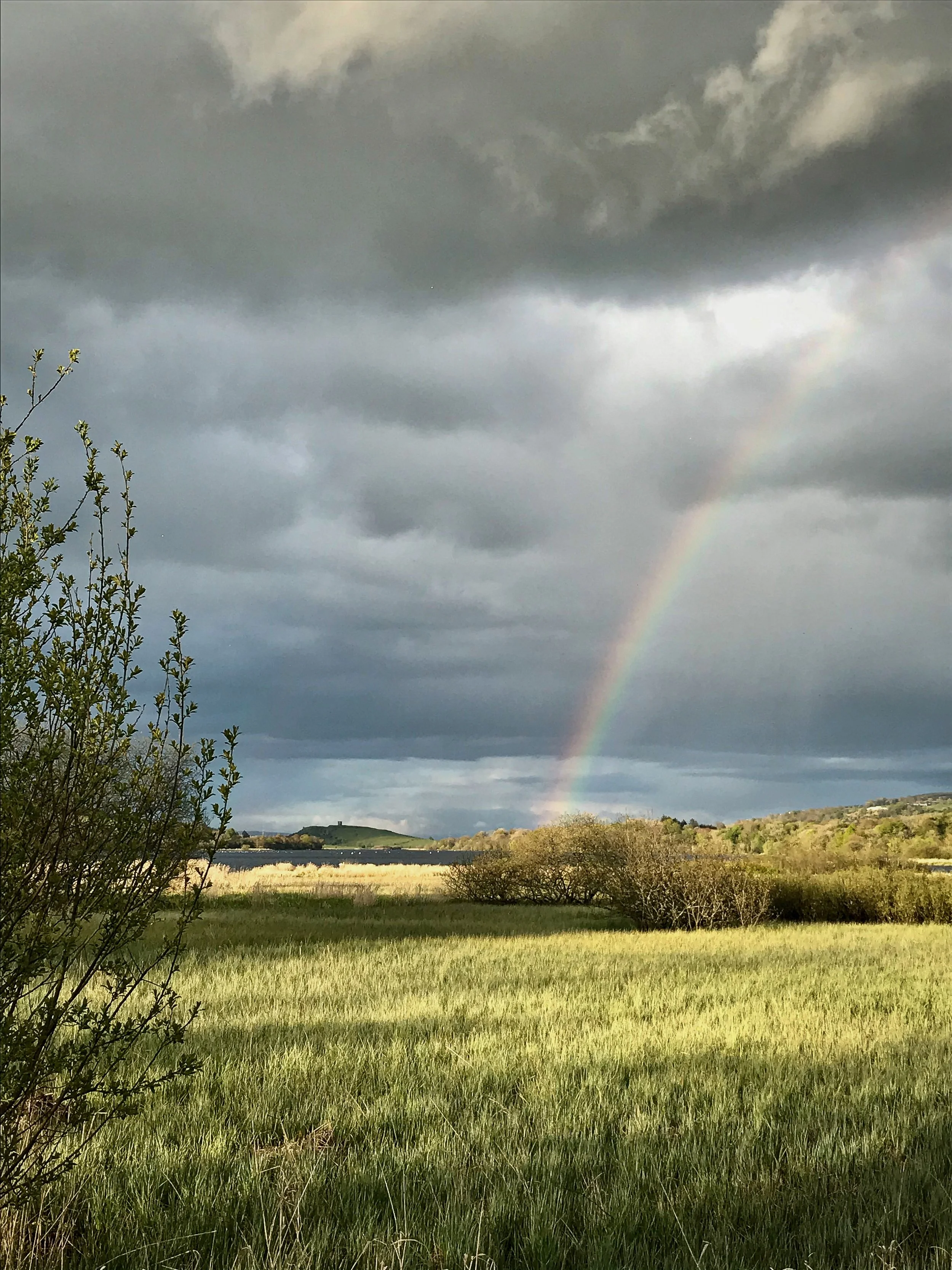 May & June Country Walk Photo Journal — E・M・O・S・I・W・N
