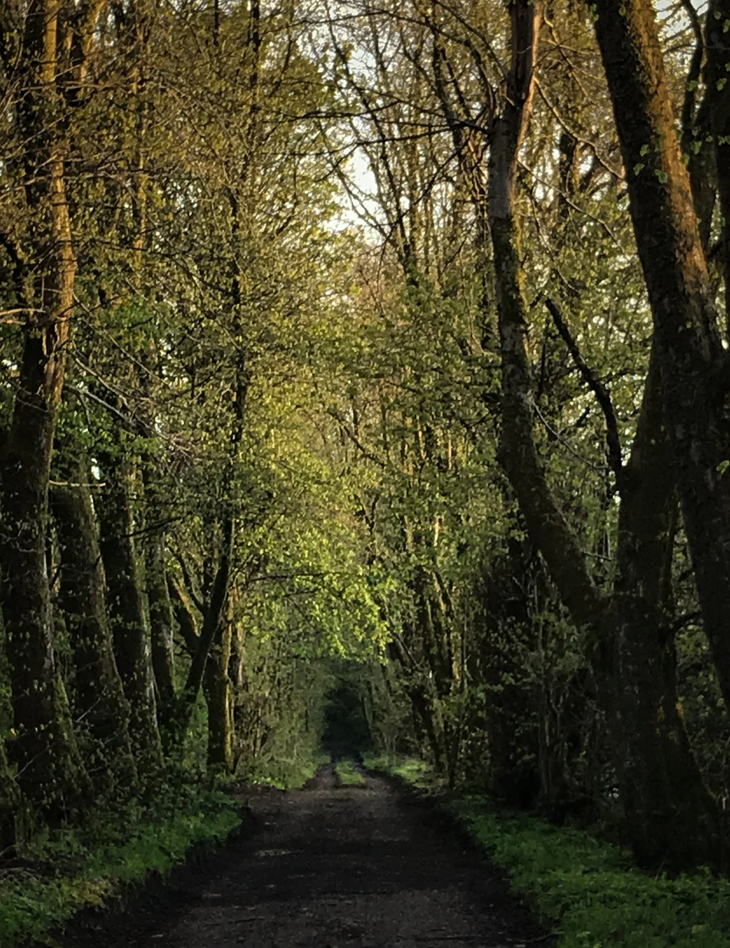 May & June Country Walk Photo Journal — E・M・O・S・I・W・N