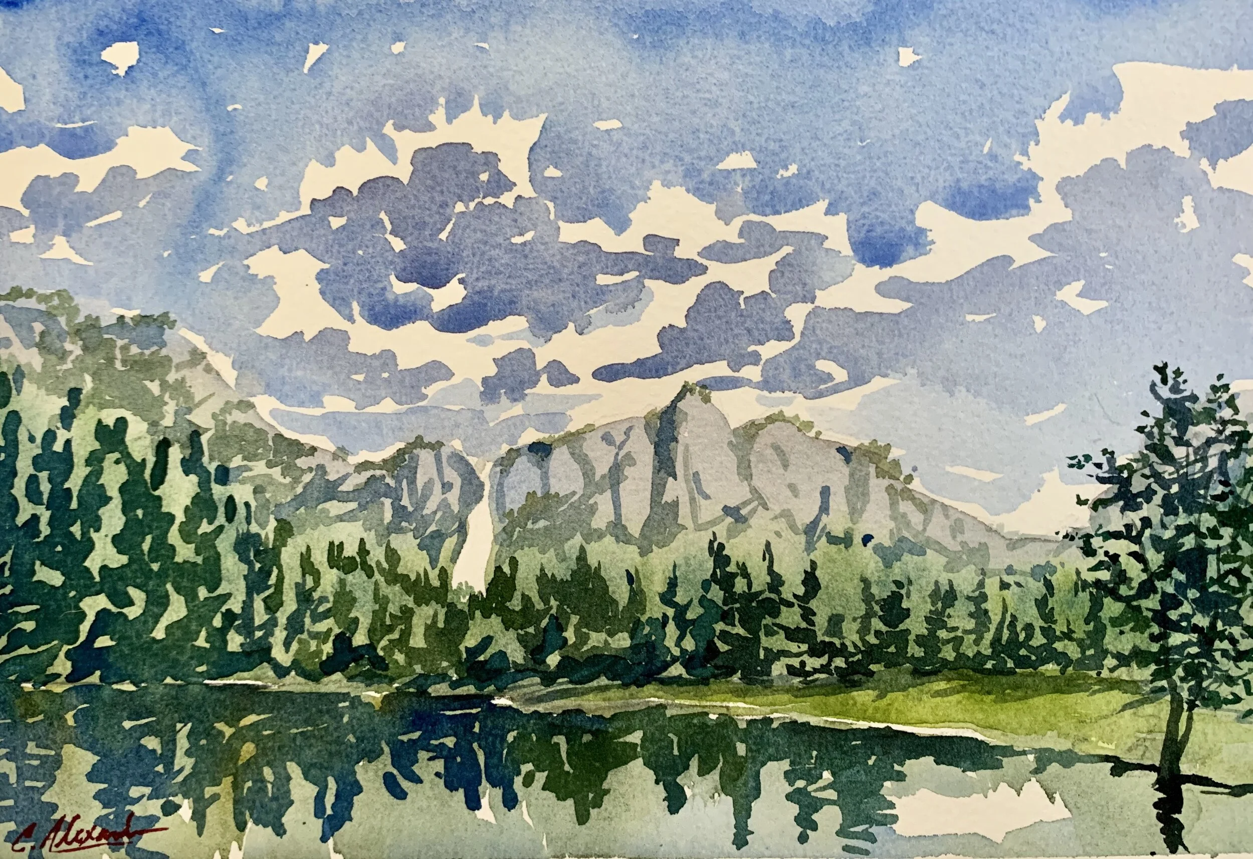 Shop — Calder Landscapes