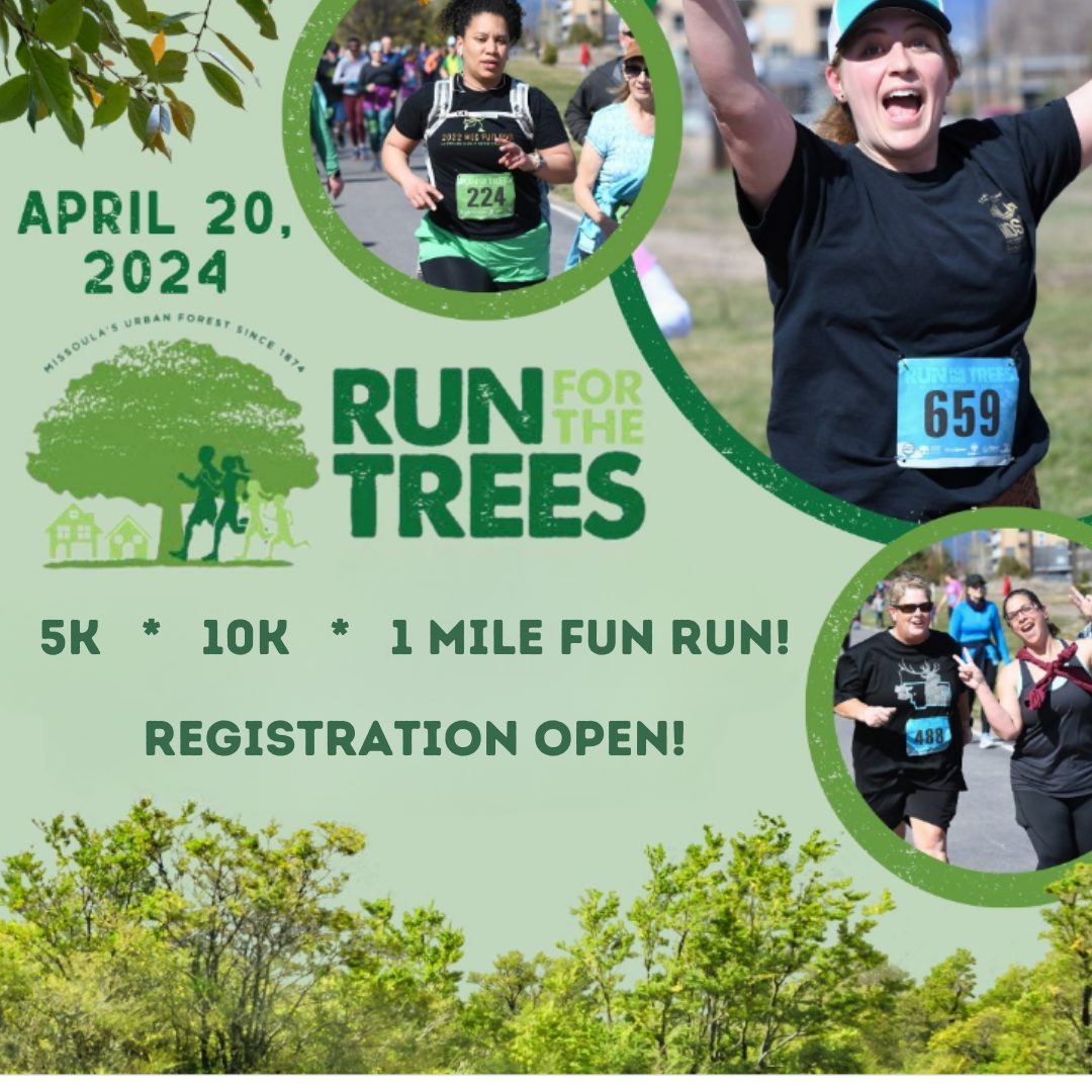 Trees for Missoula