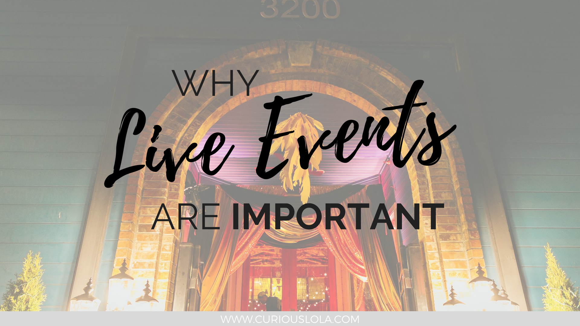 Why Live Events are Important — Curious Lola