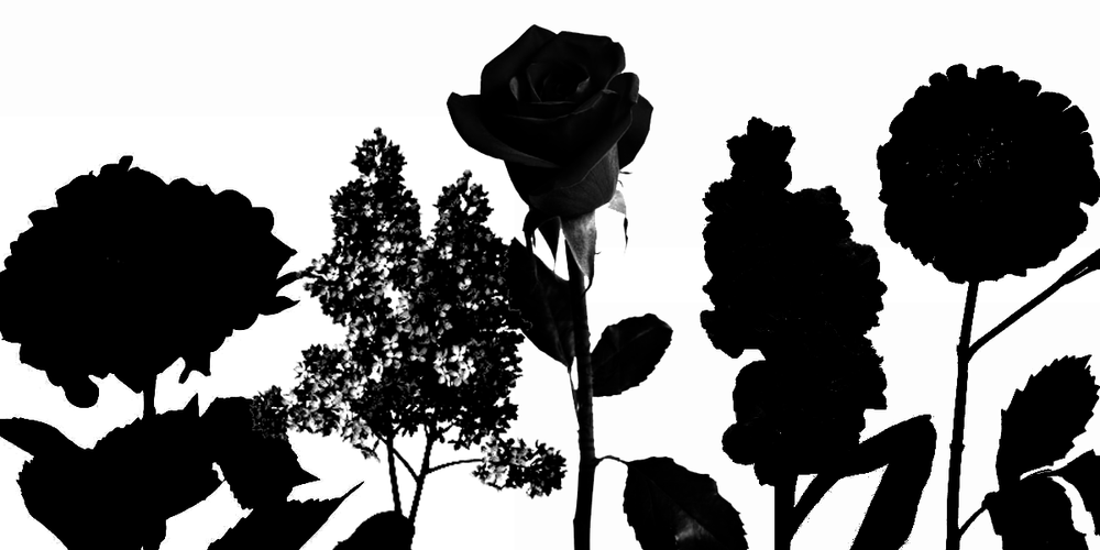 How to Manage Flower Orders with Functional Flower Recipes — Curious Lola