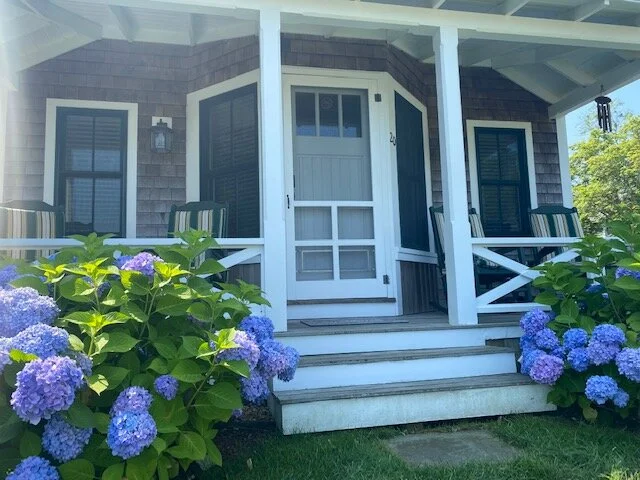 Dragonfly MV Properties