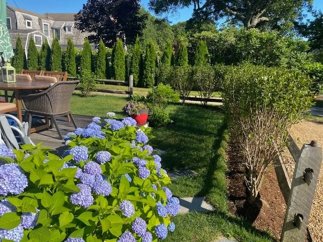 Damselfly House — Dragonfly MV Properties