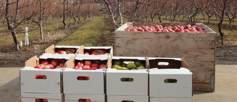 Collins Family Orchards