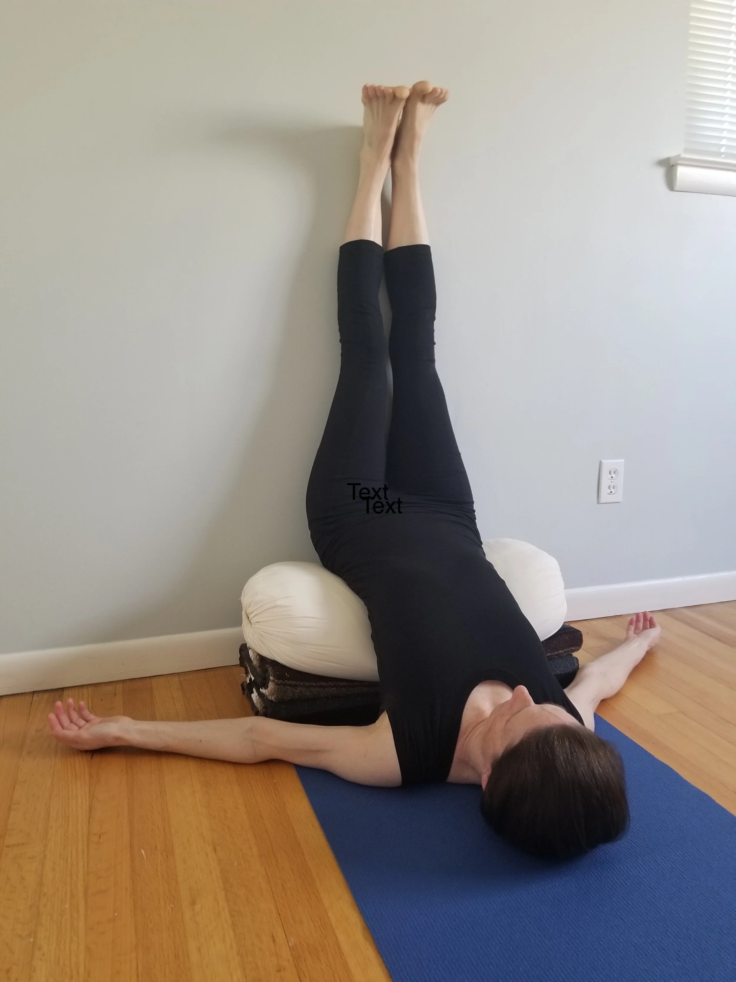 Yoga workshops Iyengar Yoga — Yoga Focus Collective Ann Arbor