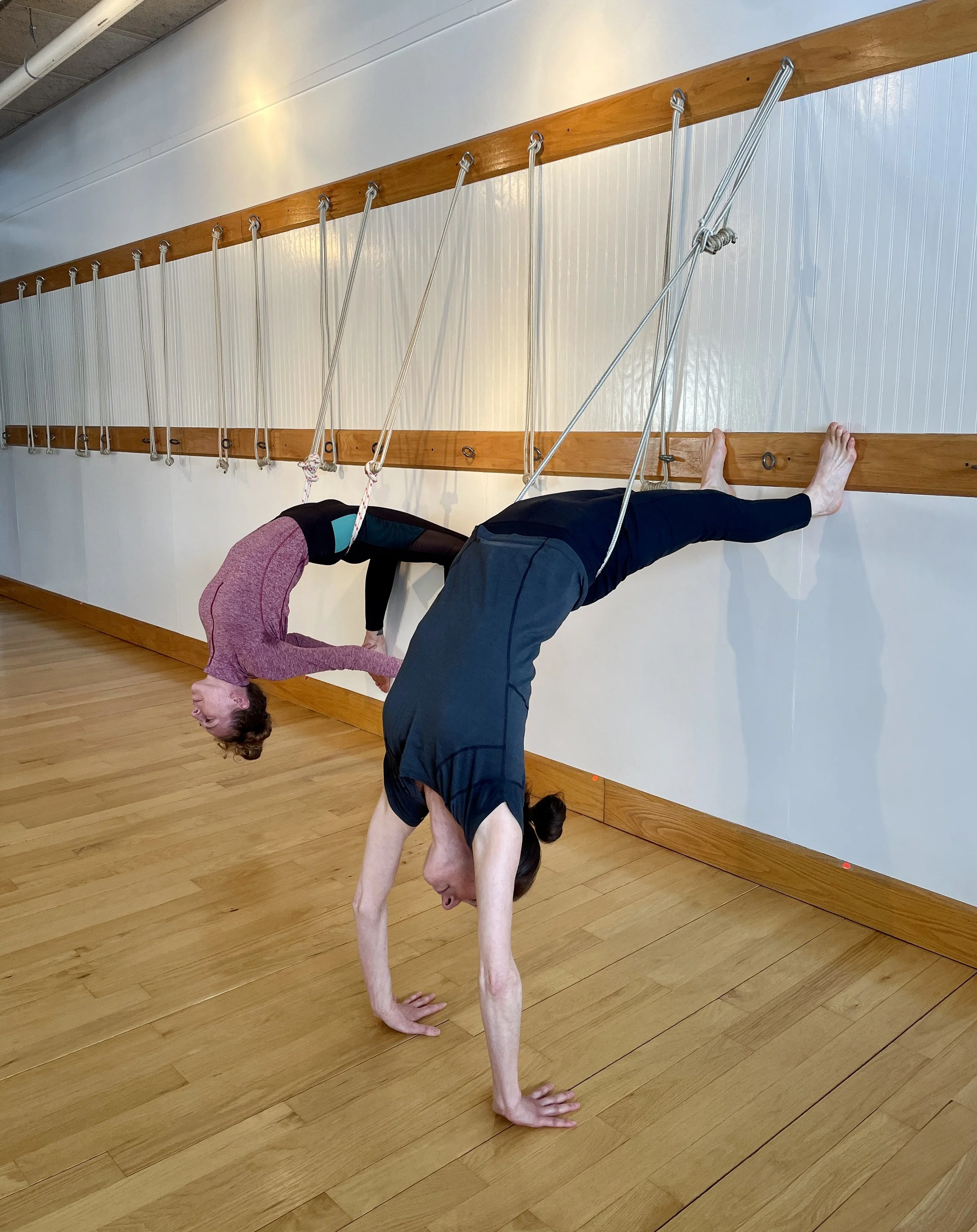 Yoga workshops Iyengar Yoga — Yoga Focus Collective Ann Arbor