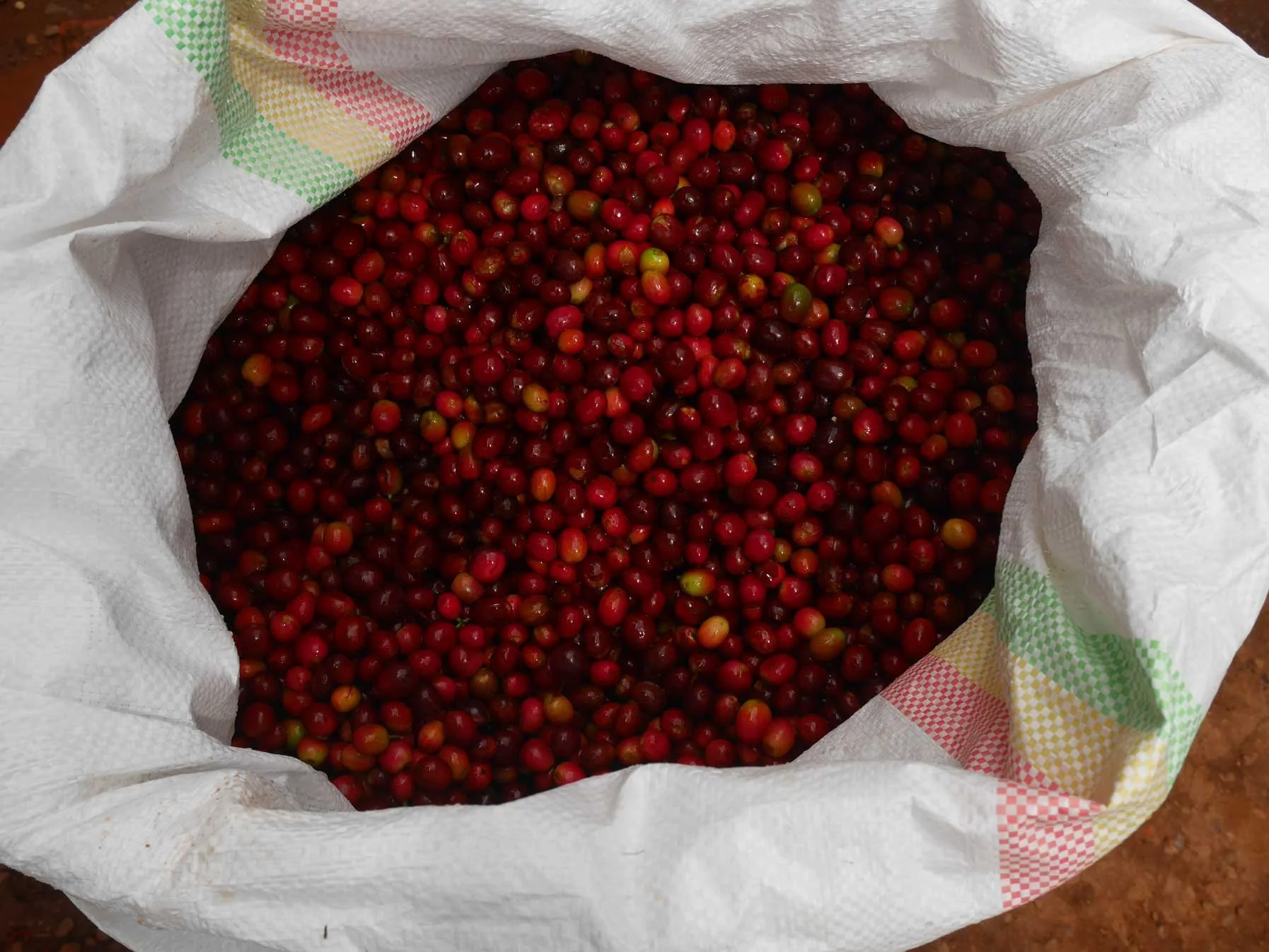 Shop — West Cork Coffee