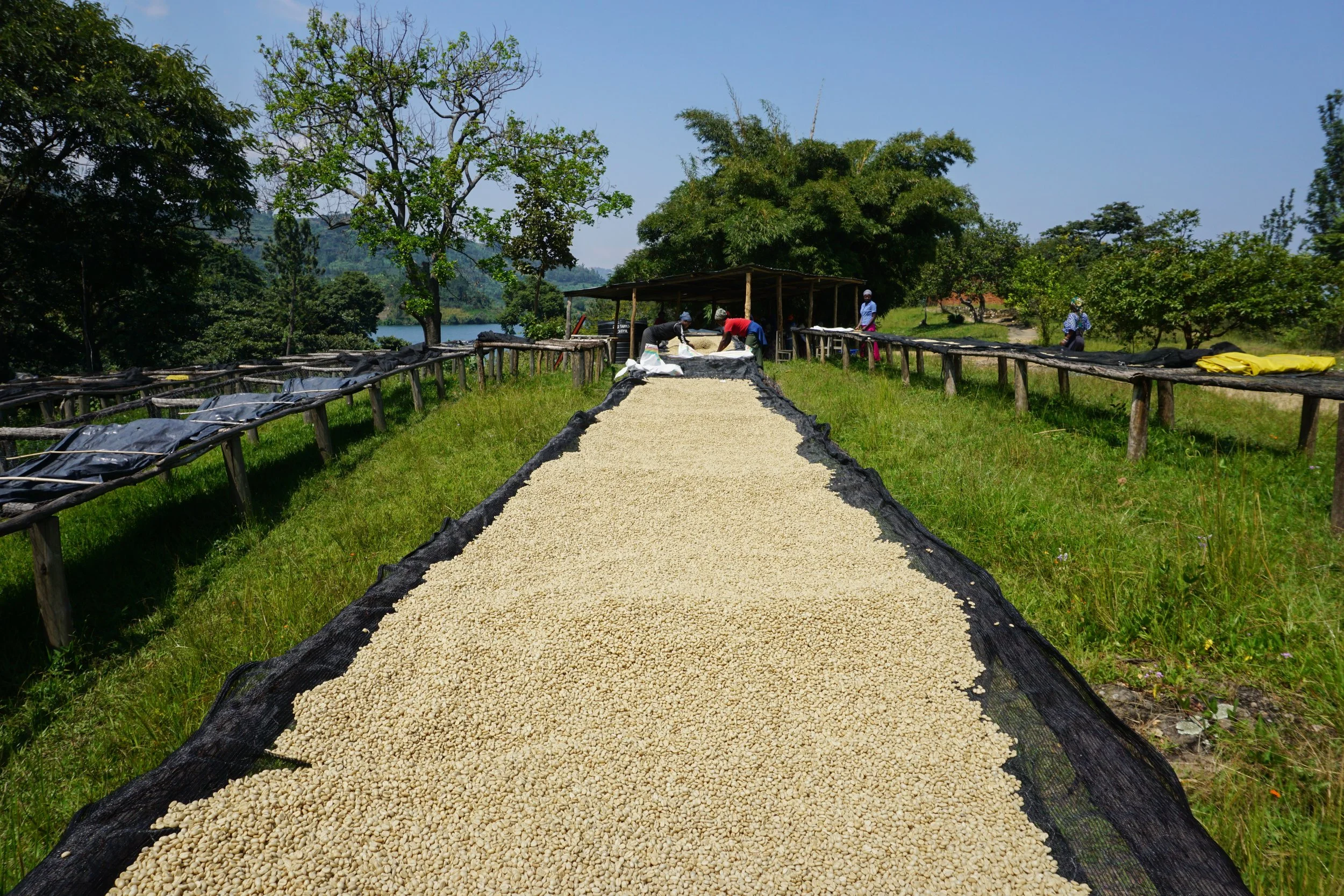 Shop — West Cork Coffee