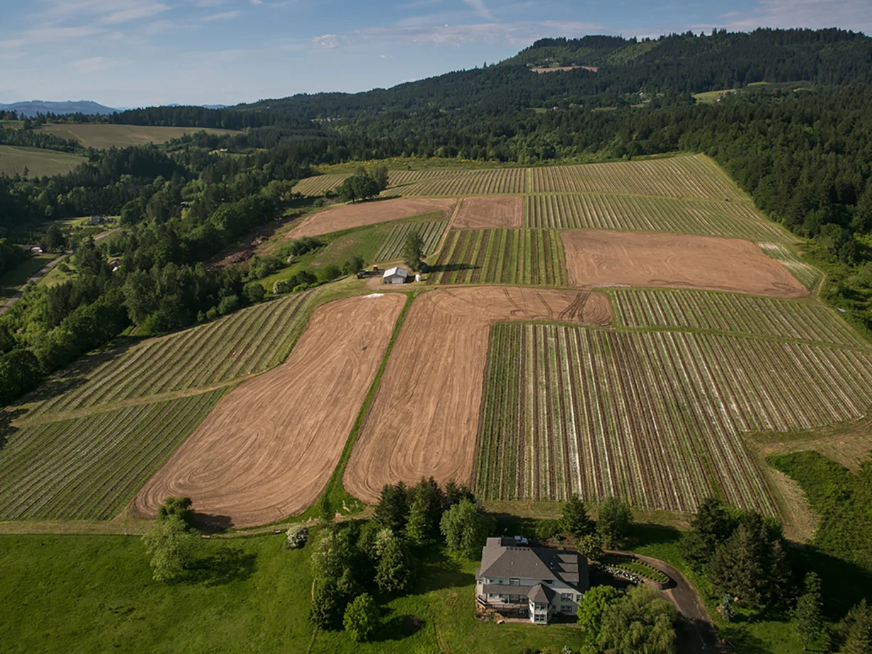 Vineyards — Failla Oregon