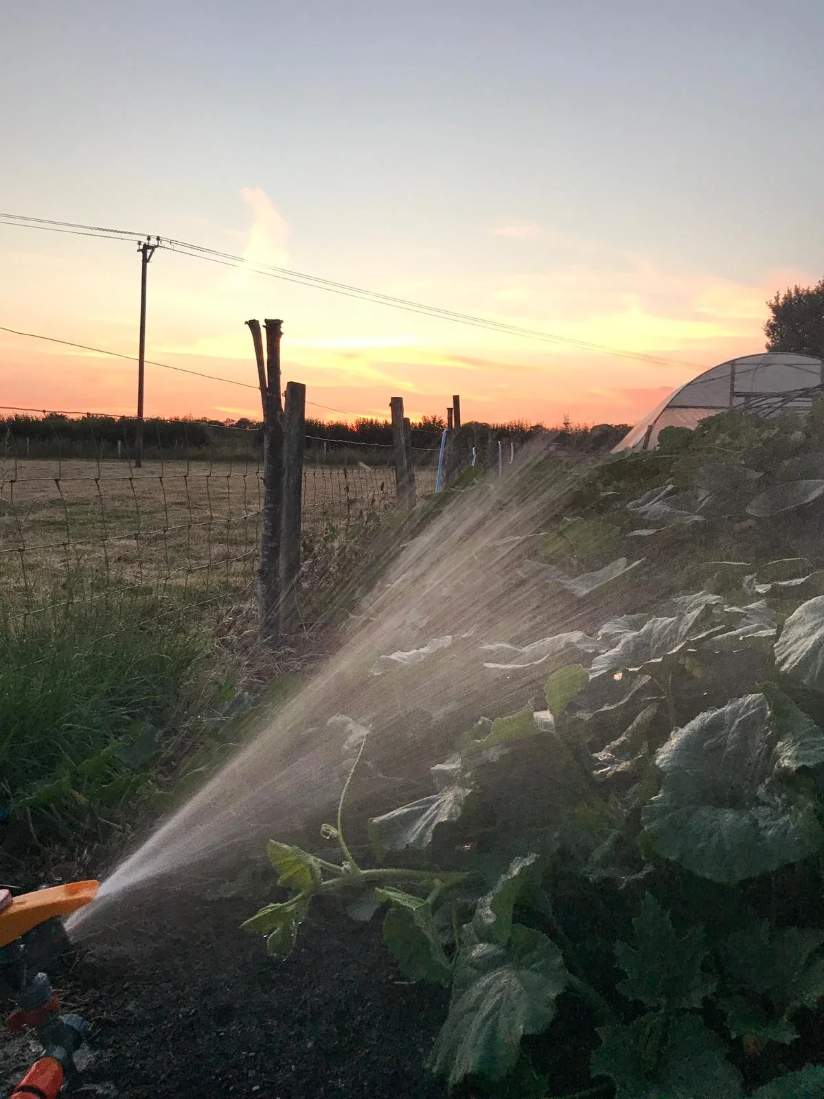Farming Services — Full Circle Farms Sussex