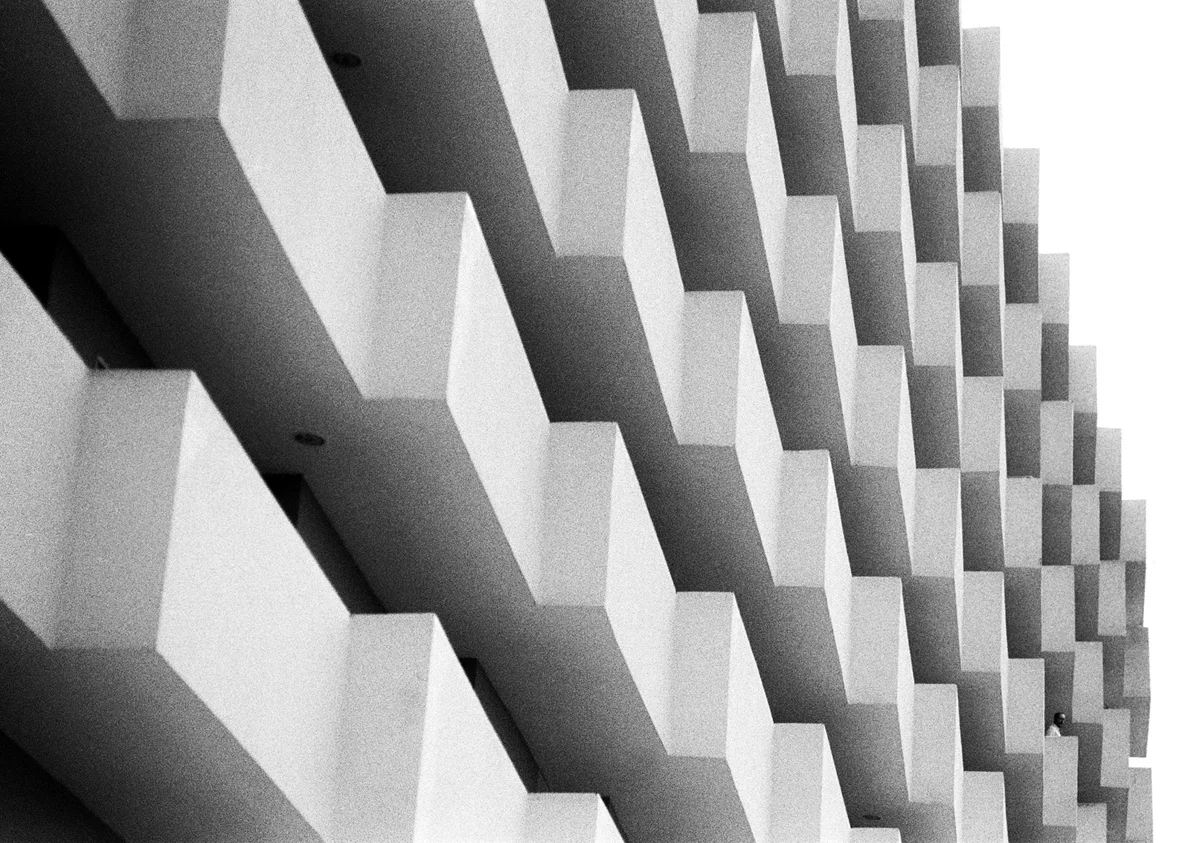 Attraper au vol: French Fred and The Unexpected Harmony of Contrasts ...